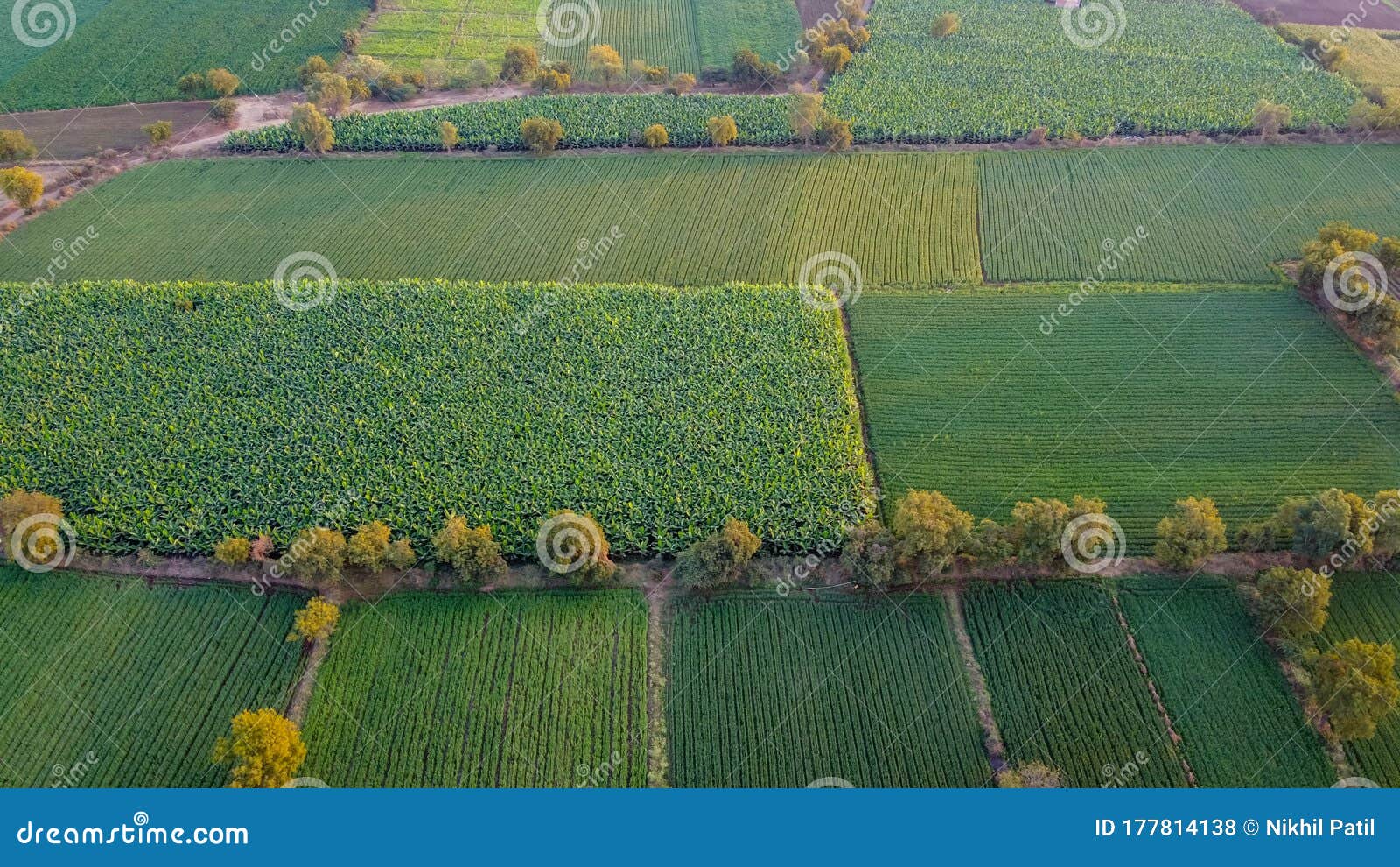 Aerial Top View of Agriculture Field Stock Photo - Image of nature ...