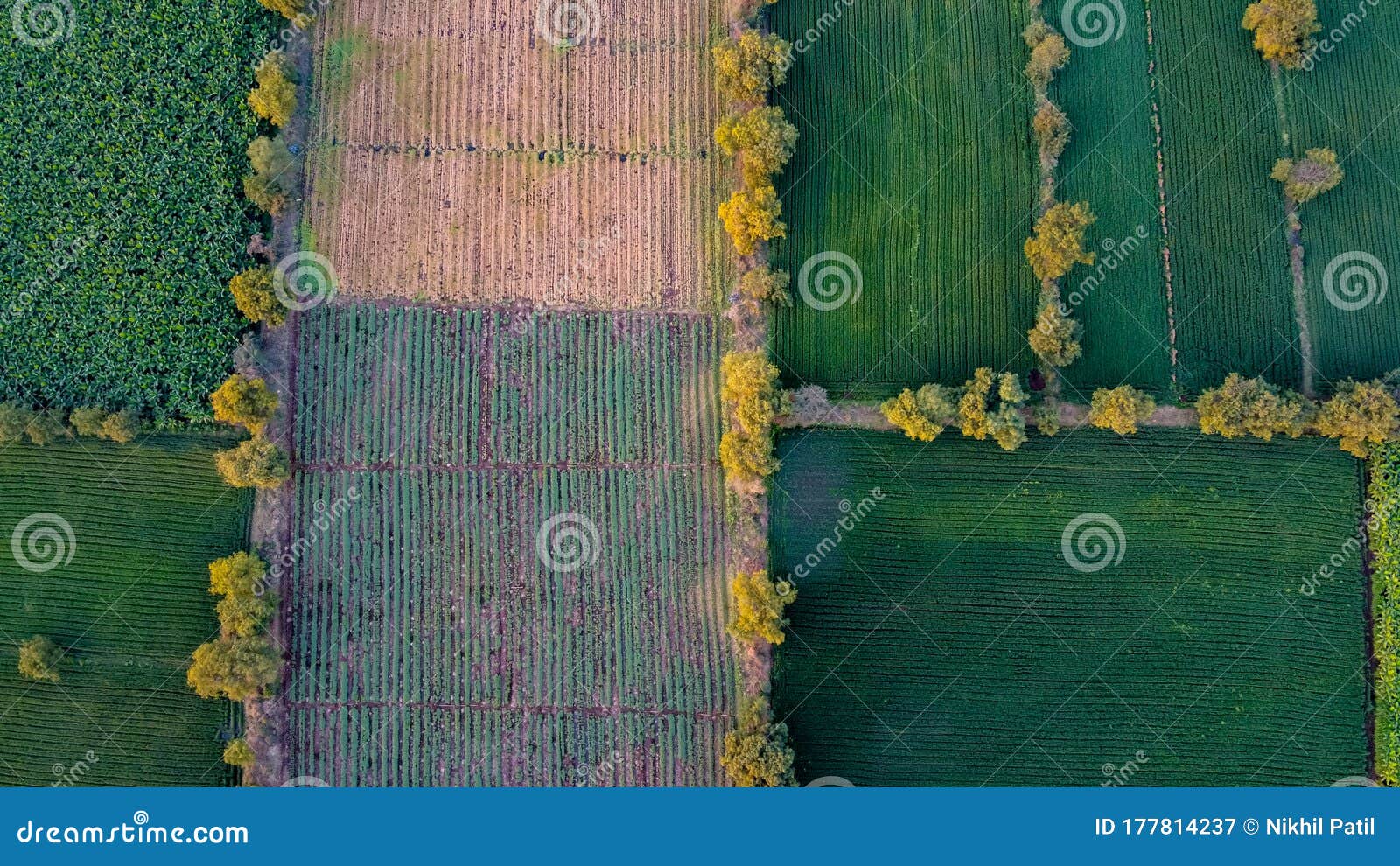 Aerial Top View of Agriculture Field Stock Image - Image of fields ...