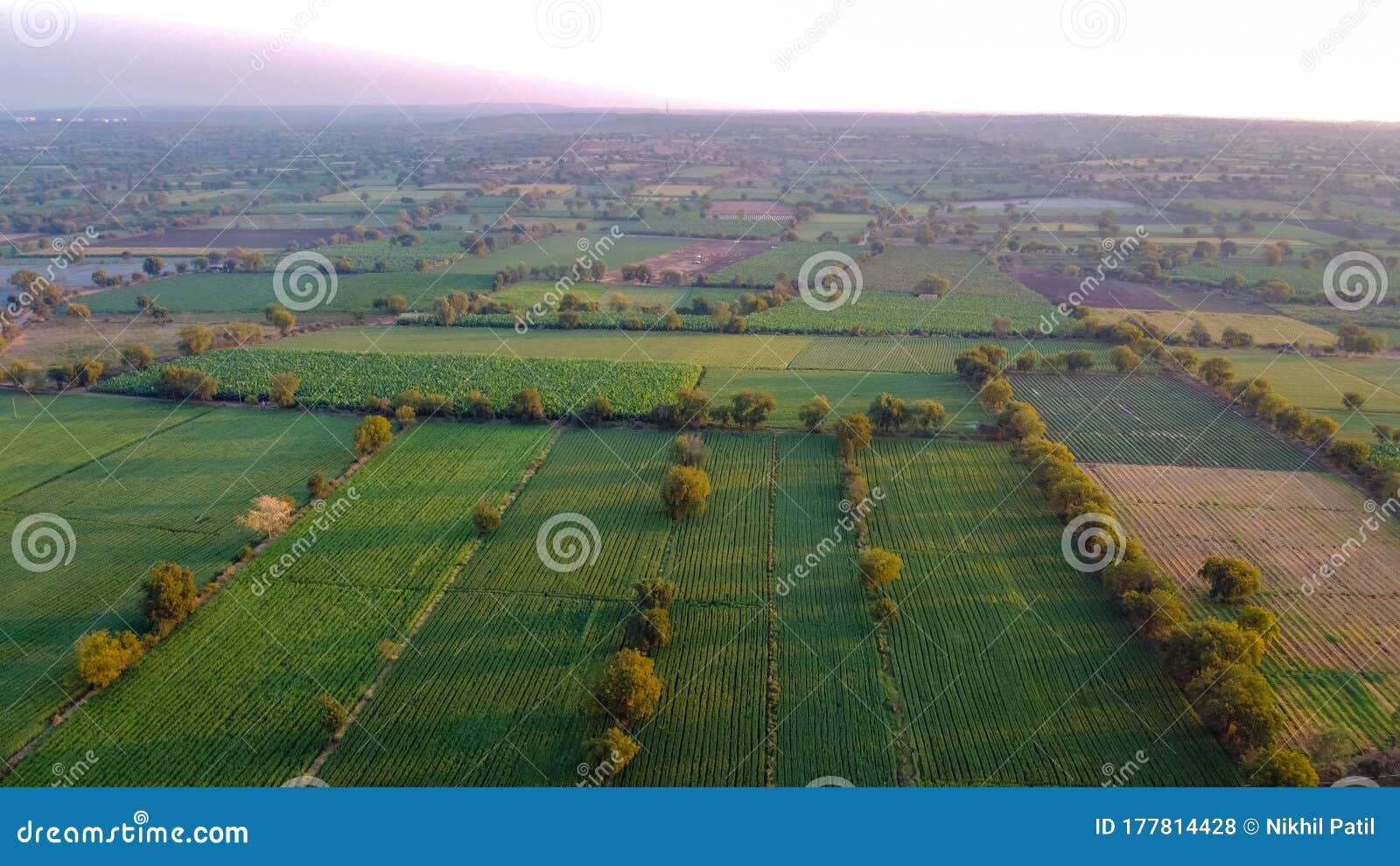 Aerial Top View of Agriculture Field Stock Photo - Image of india ...