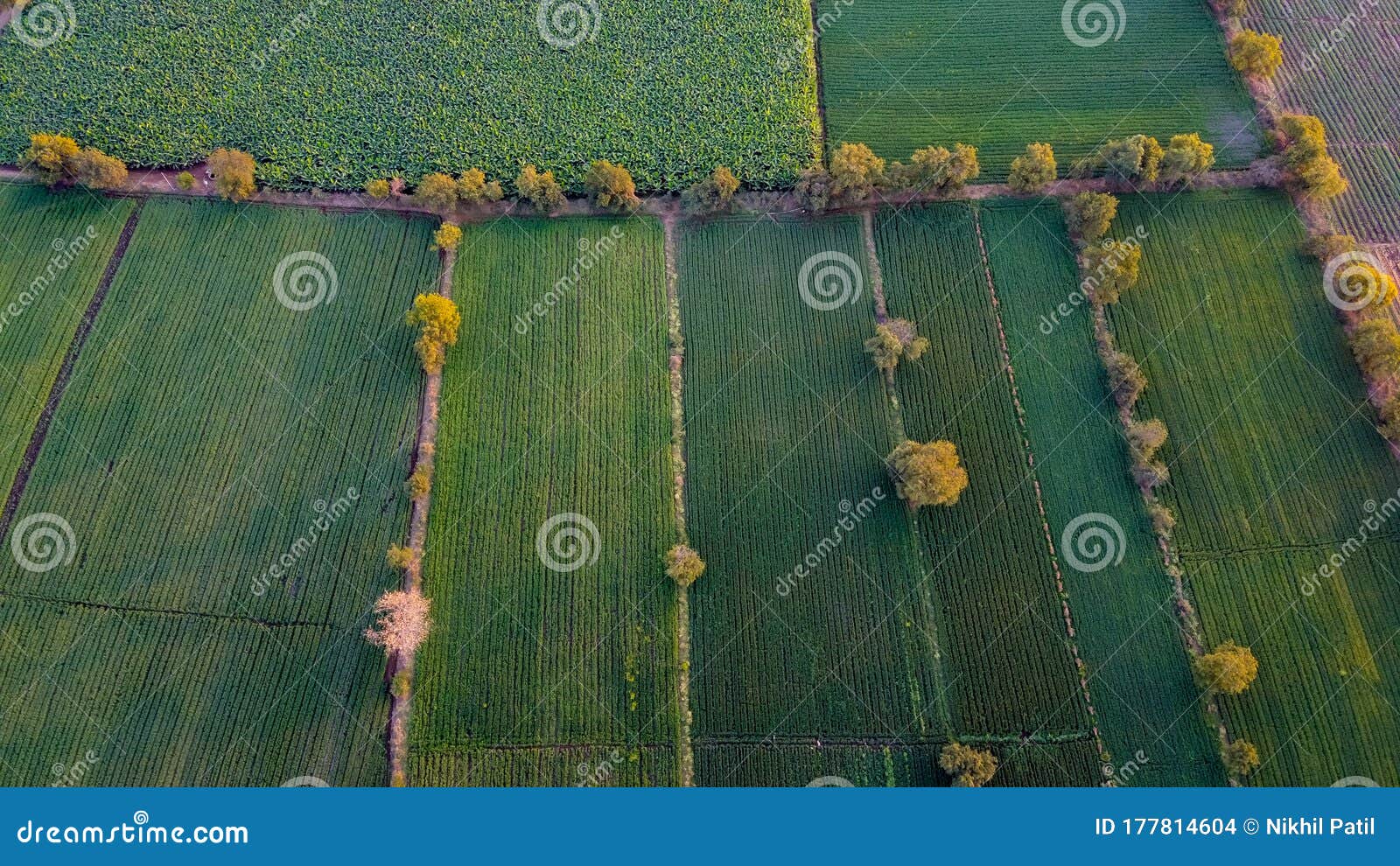 Aerial Top View of Agriculture Field Stock Photo - Image of landscape ...