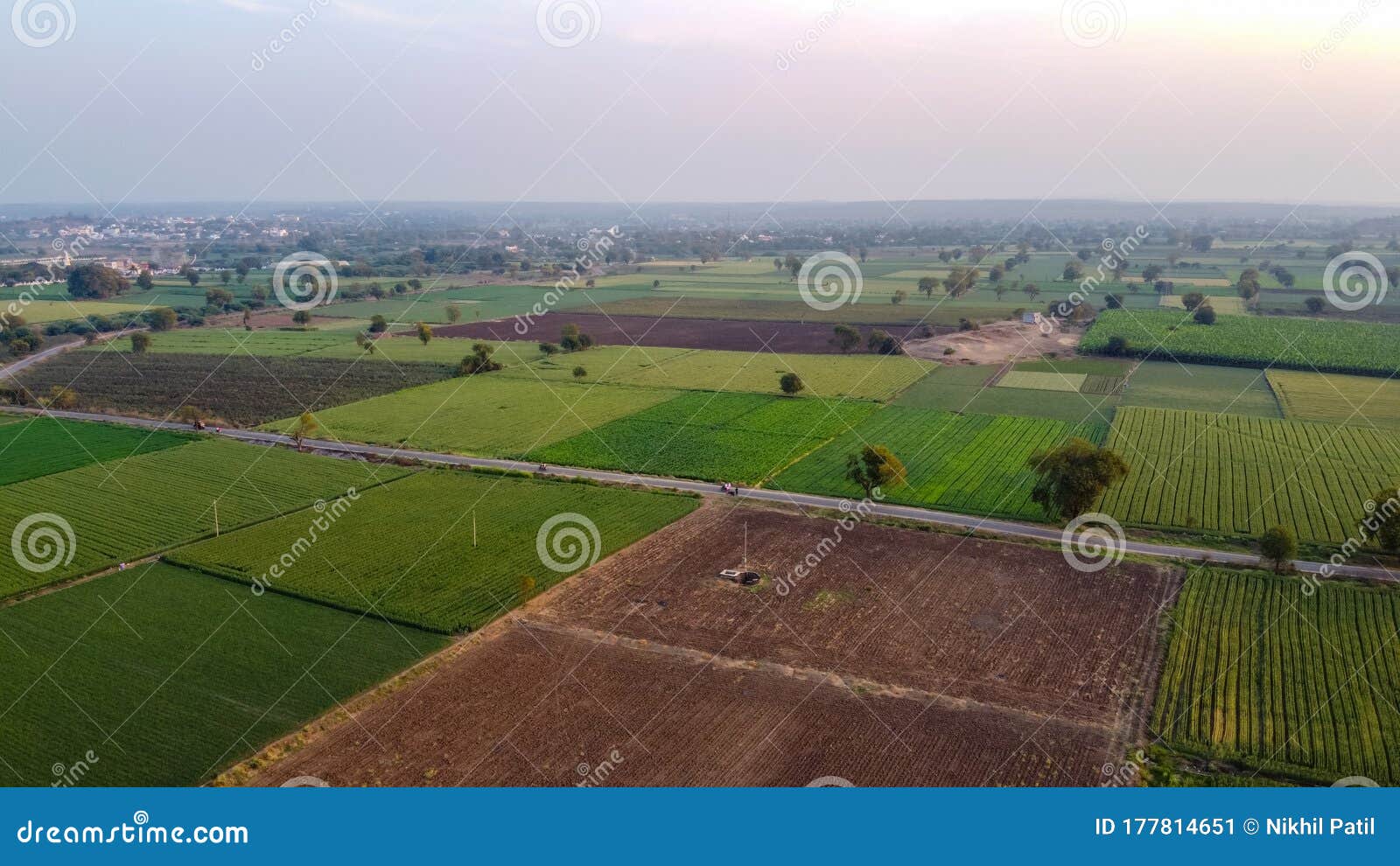Aerial Top View of Agriculture Field Stock Image - Image of harvest ...