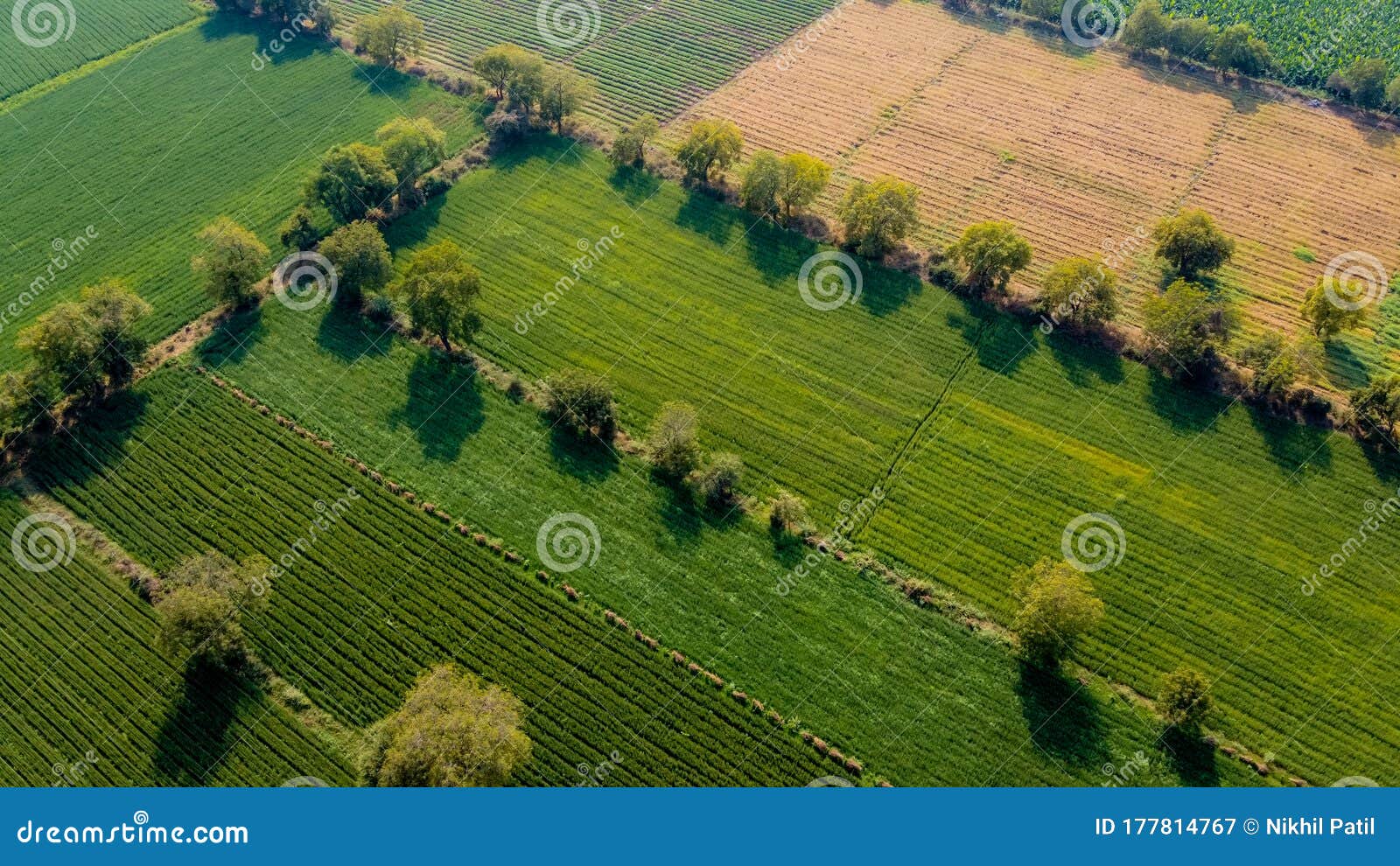 Aerial Top View of Agriculture Field Stock Image - Image of harvesting ...