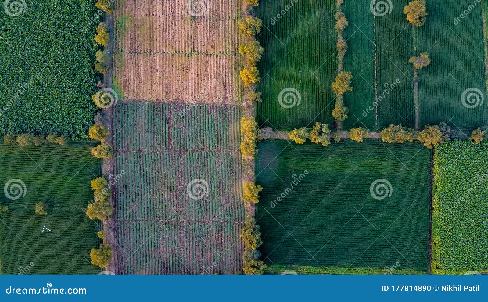 Aerial Top View of Agriculture Field Stock Photo - Image of farm ...