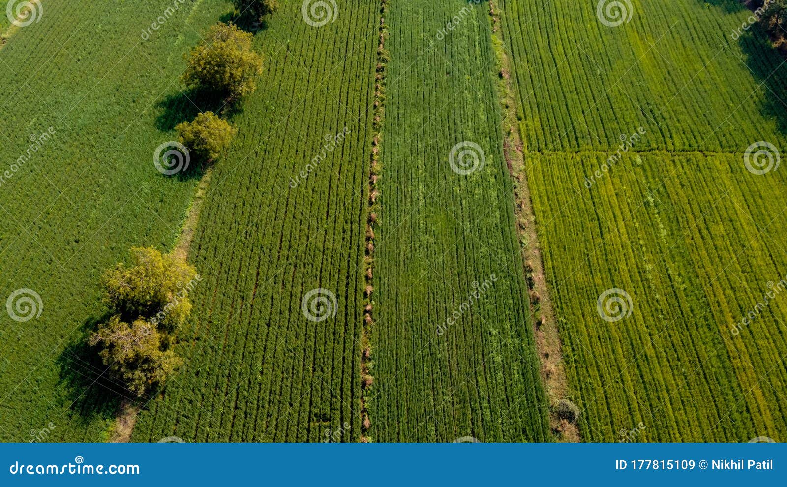 Aerial Top View of Agriculture Field Stock Image - Image of harvesting ...