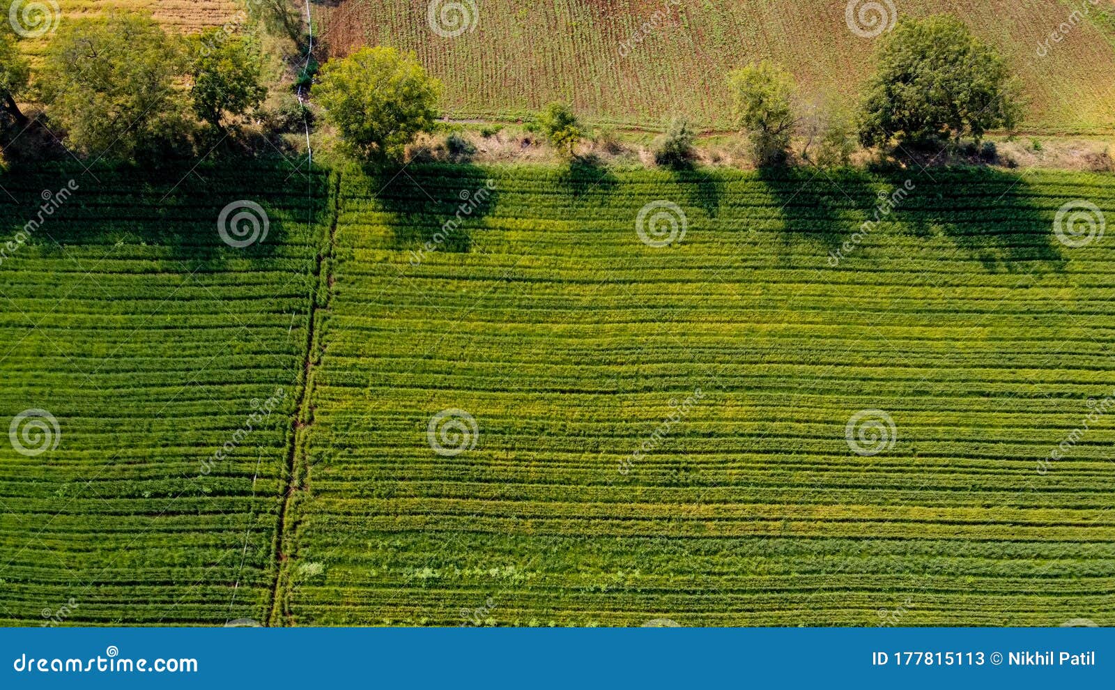 Aerial Top View of Agriculture Field Stock Image - Image of fields ...
