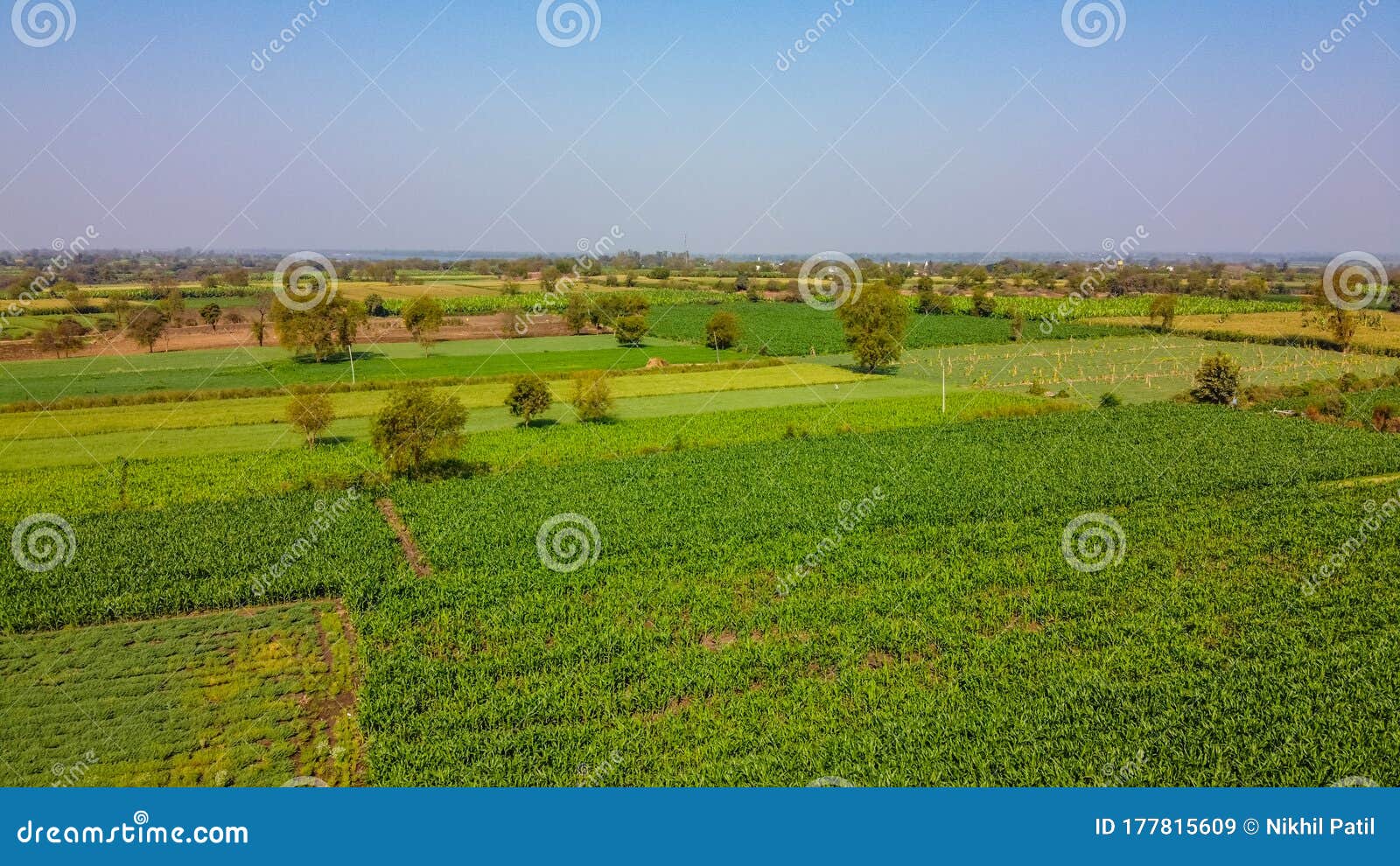 Aerial Top View of Agriculture Field Stock Image - Image of cornfield ...