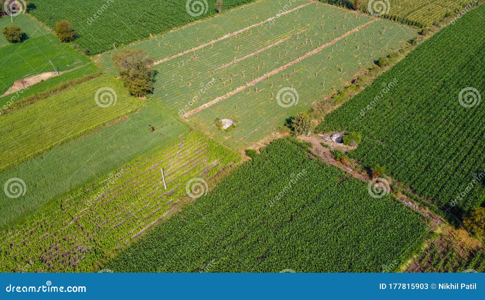 Aerial Top View of Agriculture Field Stock Image - Image of agriculture ...