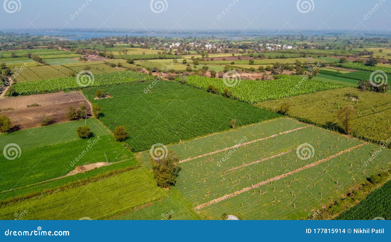 Aerial Top View of Agriculture Field Stock Photo - Image of ariel, crop ...