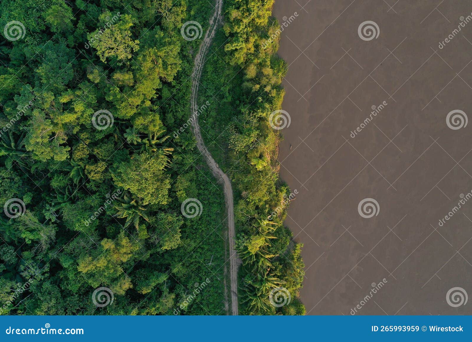 Aerial Top View of the Amazon Rainforest Along the Amazon River Stock ...