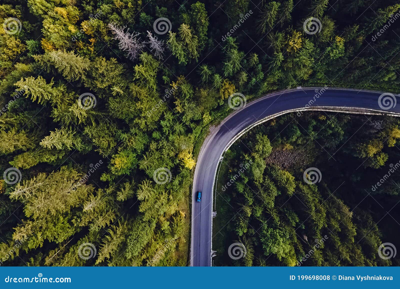 Aerial Top View of Curvy Mountain Road Stock Photo - Image of pine ...