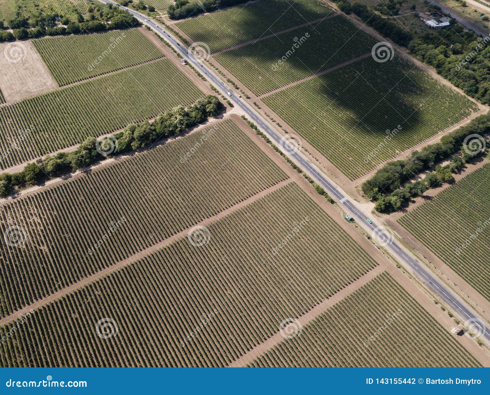 Aerial Top View from Drone To Vineyard Stock Photo - Image of grape ...