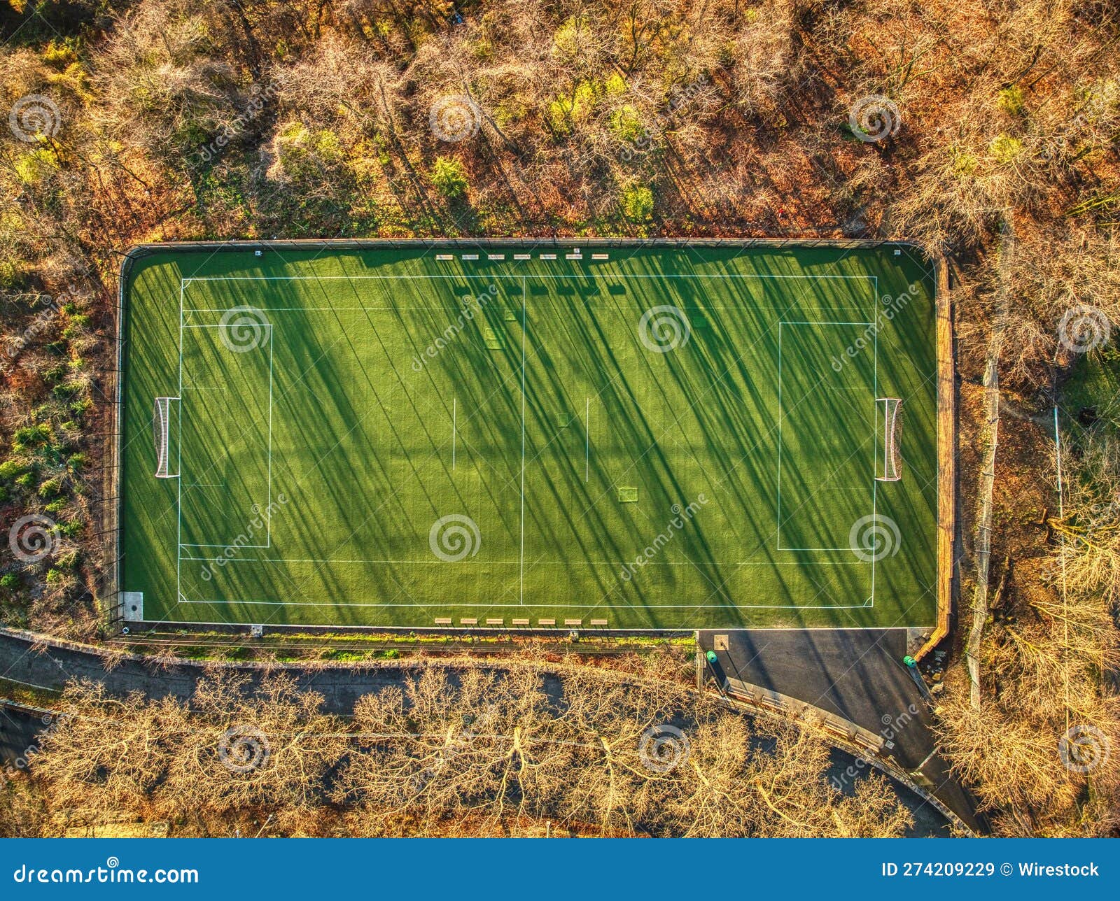 Aerial Top View of an Empty Soccer Field Surrounded by Lush Green Trees ...