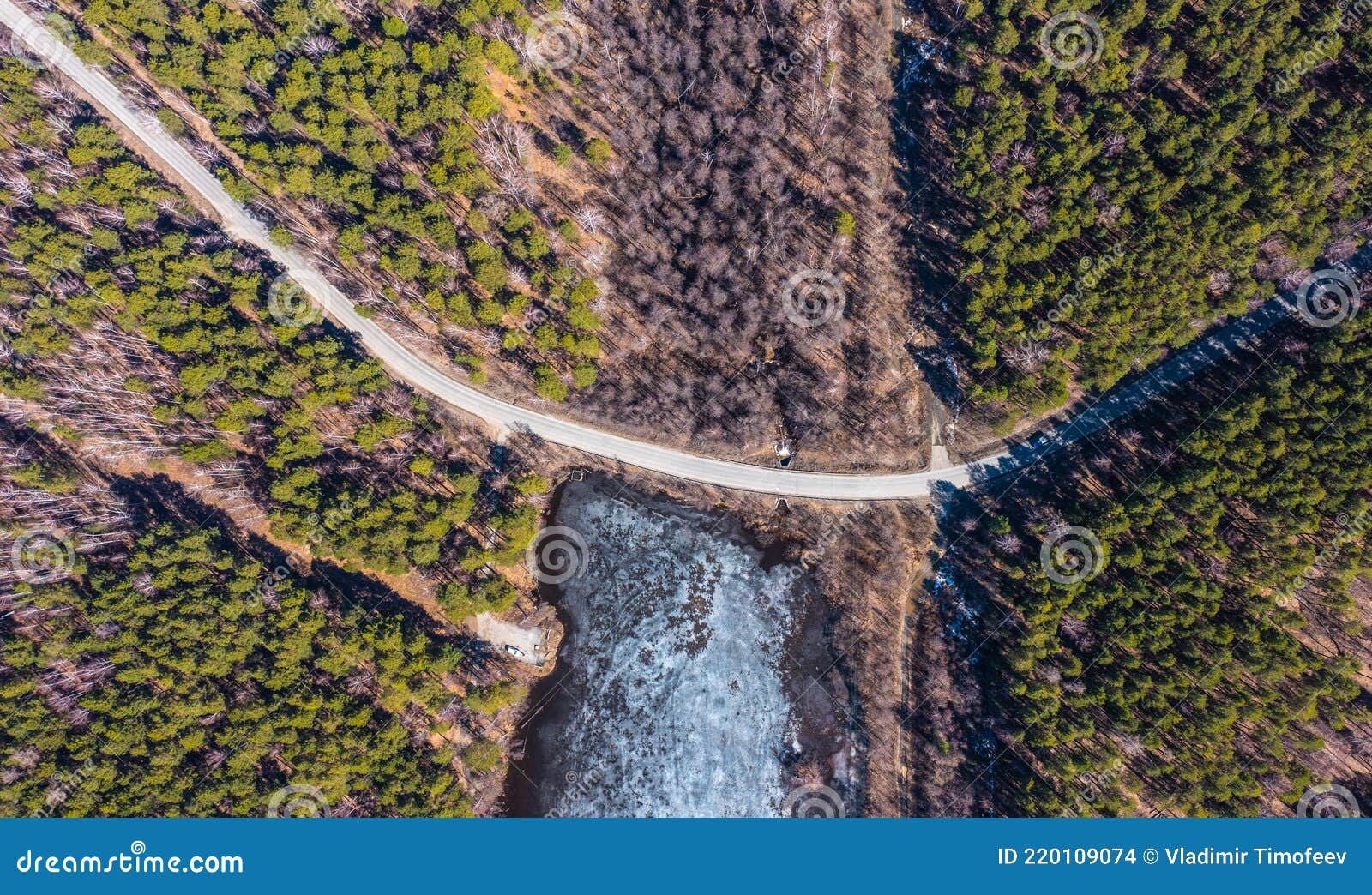 Aerial Top View of Forest with Green Trees and Dirt Road Along River ...