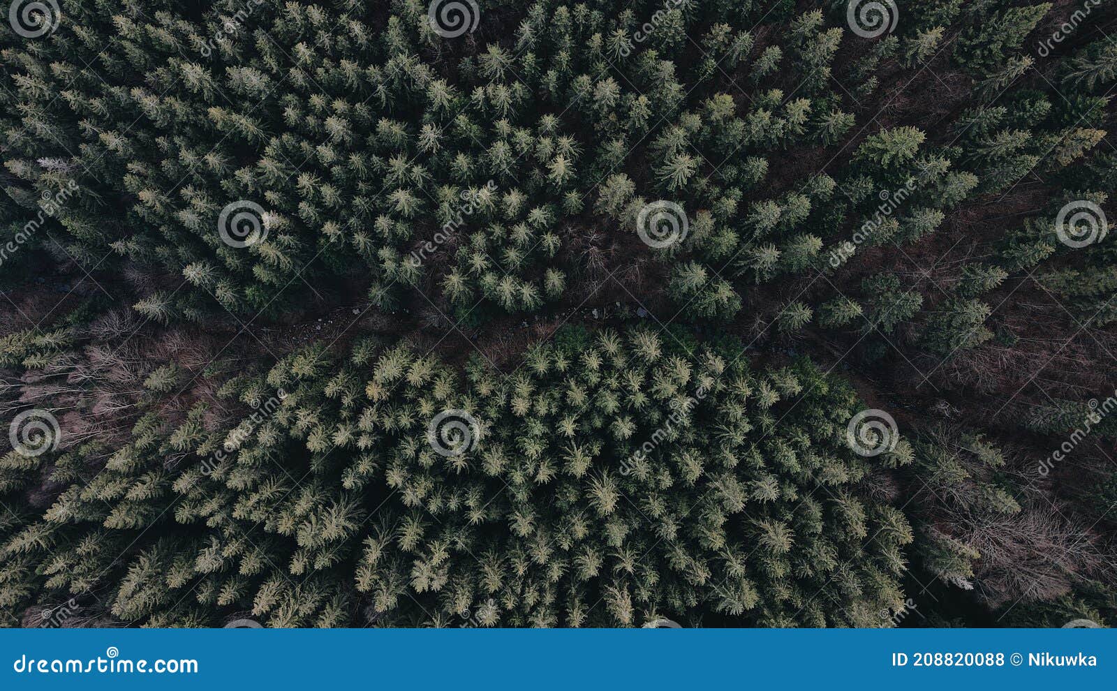 Aerial Top View Forest Tree Stock Photo - Image of mountain, beautiful ...