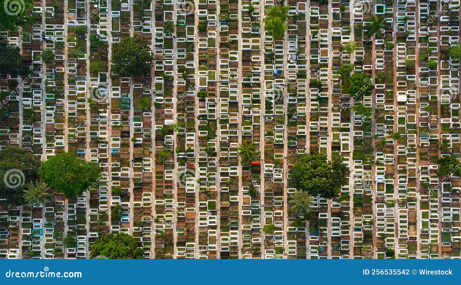 Aerial Top View of a Graveyard Stock Photo - Image of backdrop ...