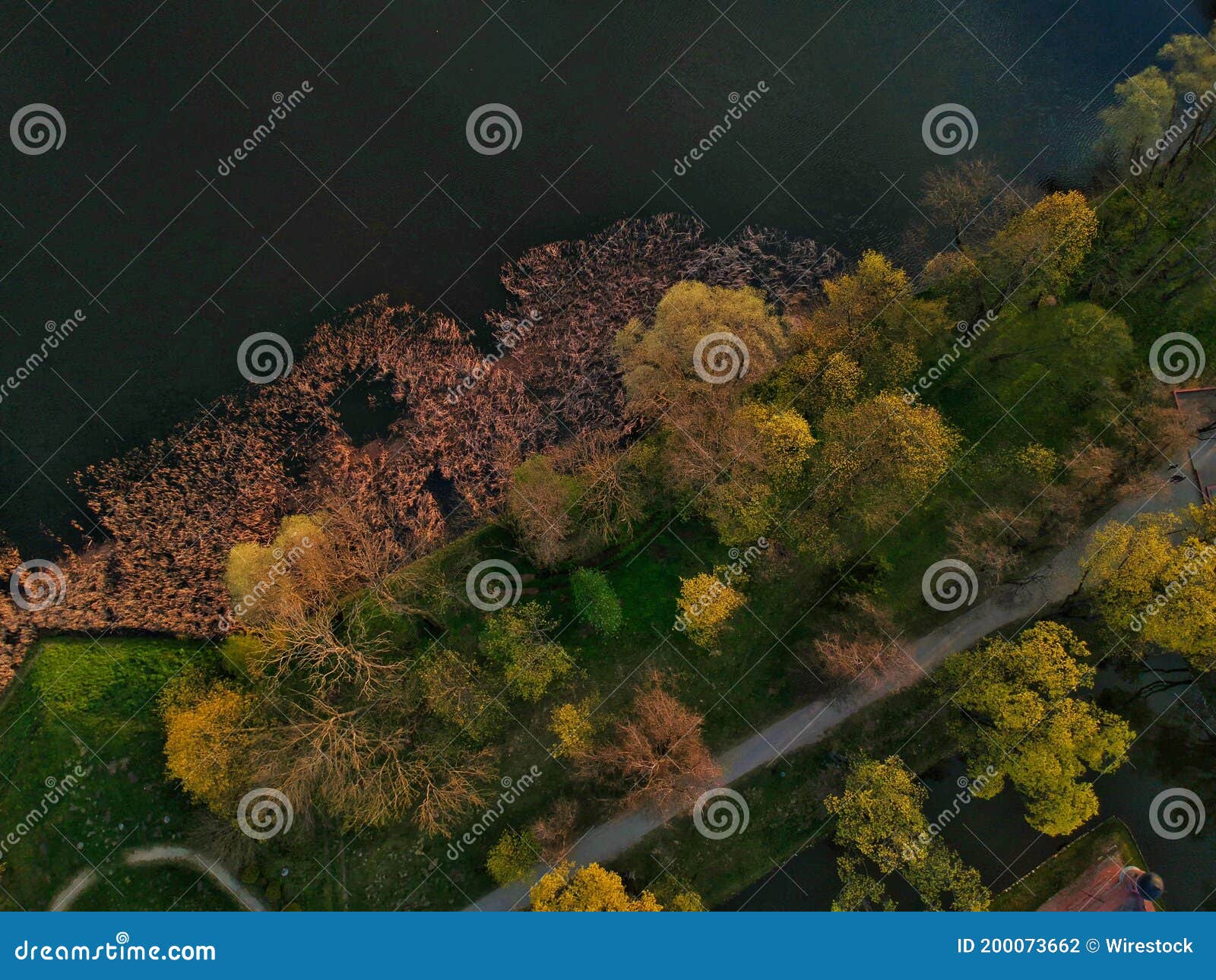 Aerial Top View of a Lake and Green Land Stock Photo - Image of nature ...