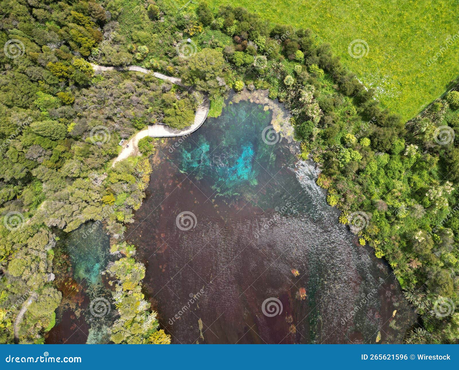 Aerial Top View of a Lake and Green Trees Stock Photo - Image of lake ...