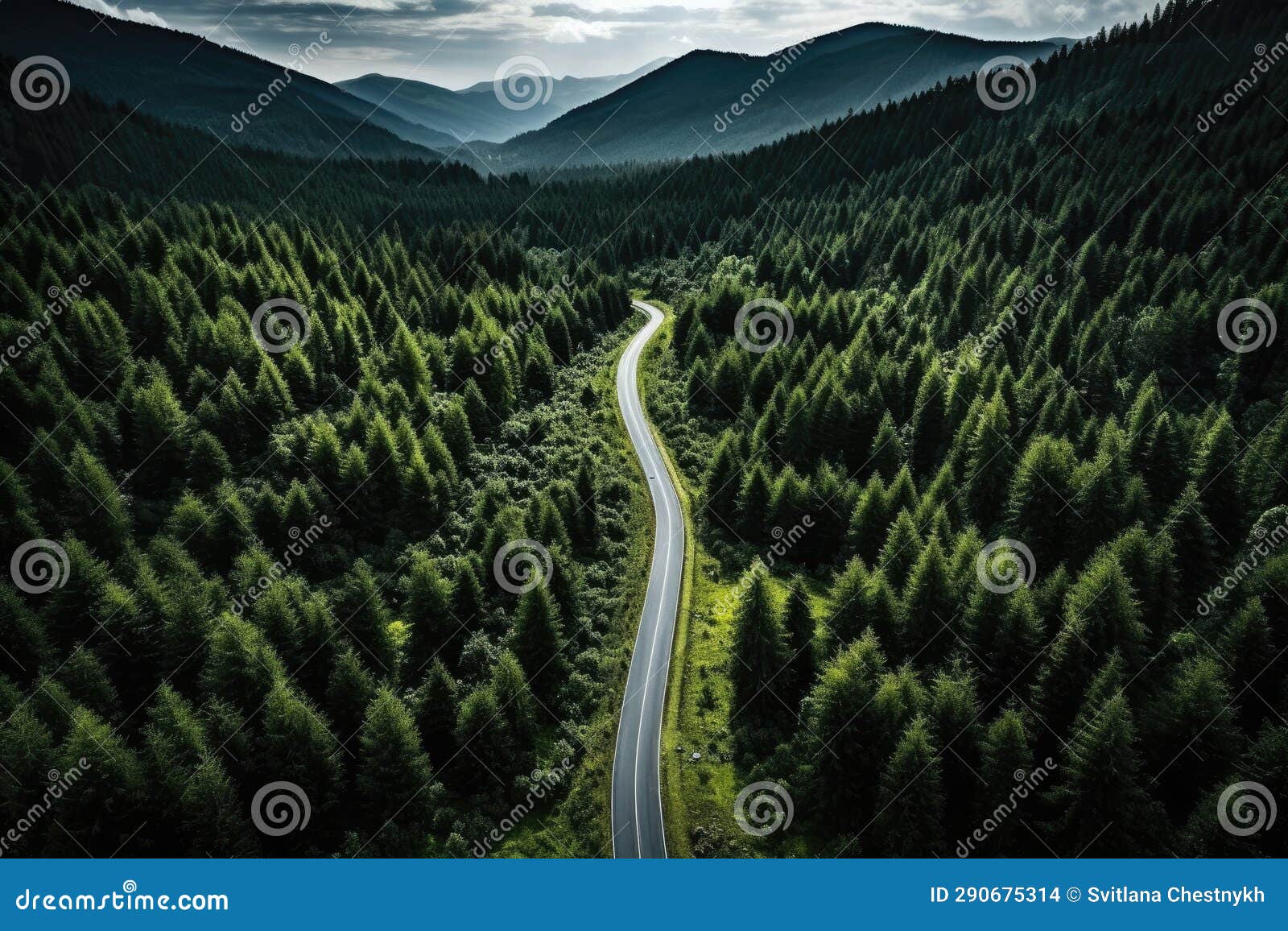 Aerial Top View, Mountaint Road in Dark Green Forest, Stock ...