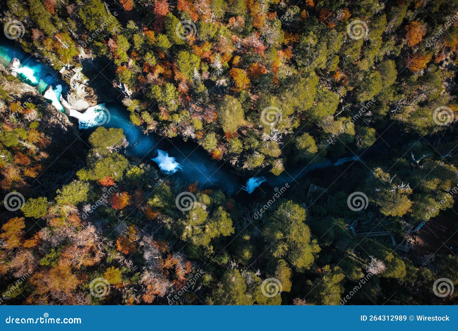 Aerial Top View of a River Flowing through a Forest in Autumn Stock ...