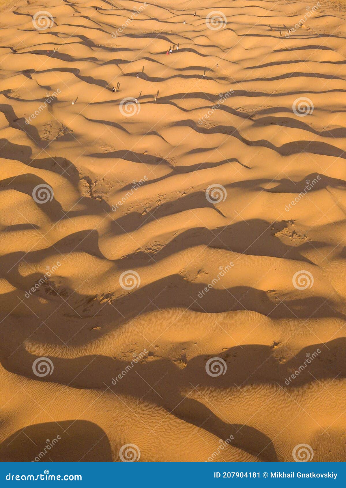 Aerial Top View on Sand Dunes with Waves in Desert Stock Image - Image ...