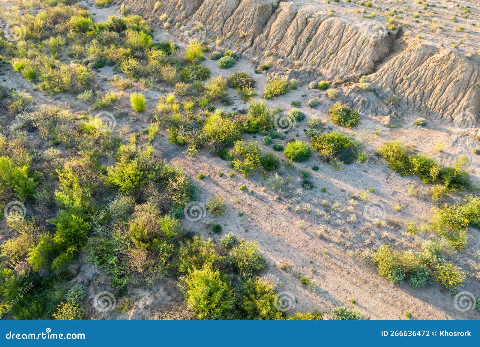Aerial Top View of Sand Quarry with Green Trees, Slope of Open Pit ...