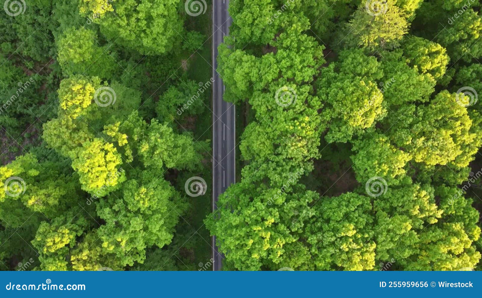 Aerial Top View of a Smooth Highway Passing through Green Deciduous ...