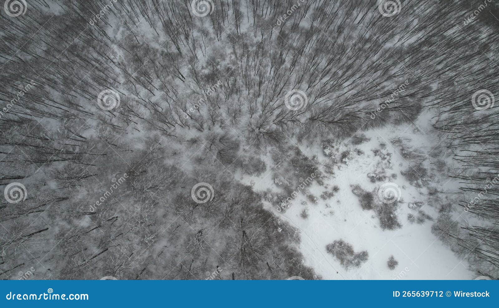 Aerial Top View of a Snowy Winter Forest Stock Photo - Image of cold ...