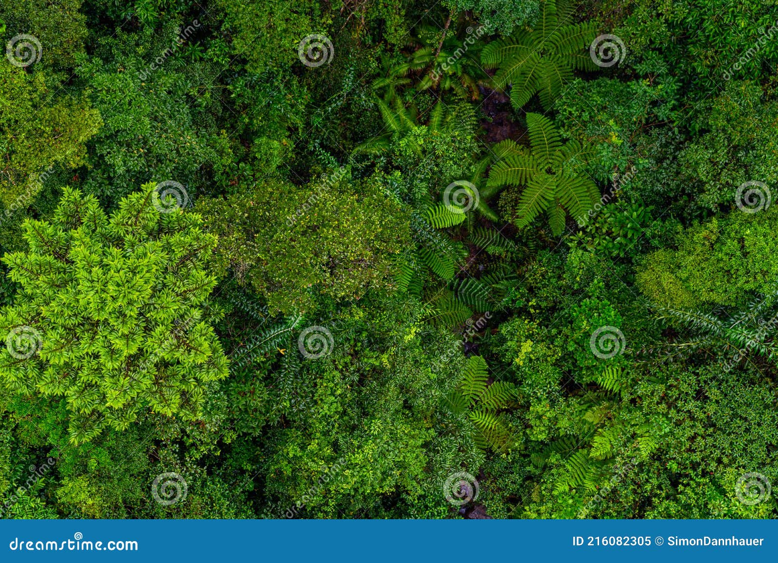 Top View Tropical Fruits And Vegetables At Supermarket Stock Image ... Top View Tropical Fruits And Vegetables At Supermarket Stock Image ...