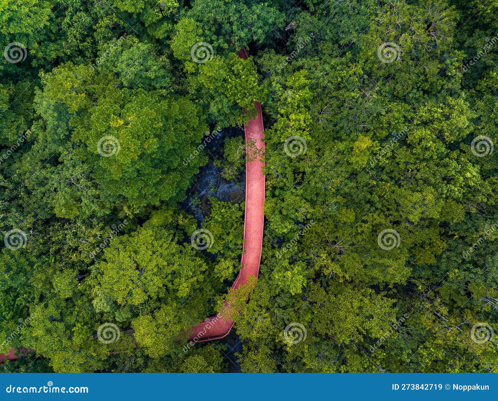 Top View Of Walkway In The Garden And Green Shrub Beside Pathway ...