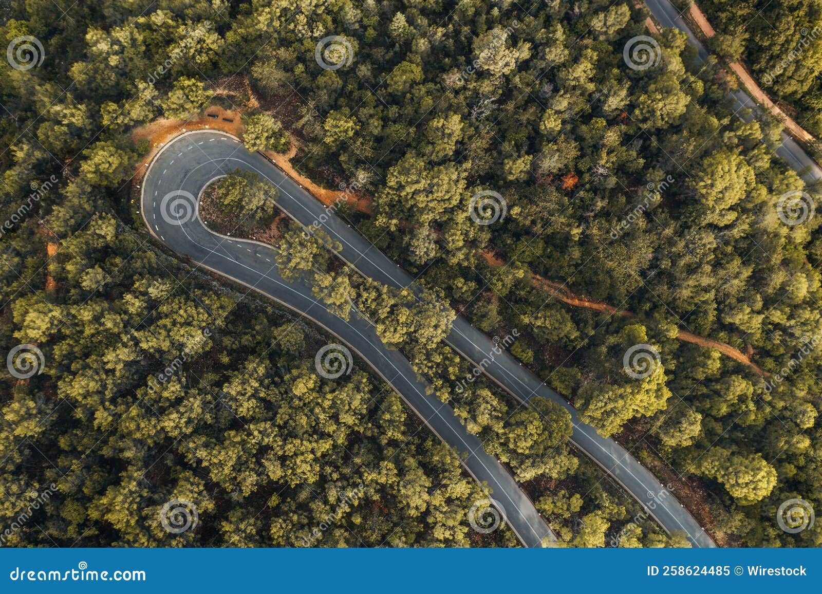 Aerial Top View of a Wavy Road in the Fall Green Forest Stock Image ...
