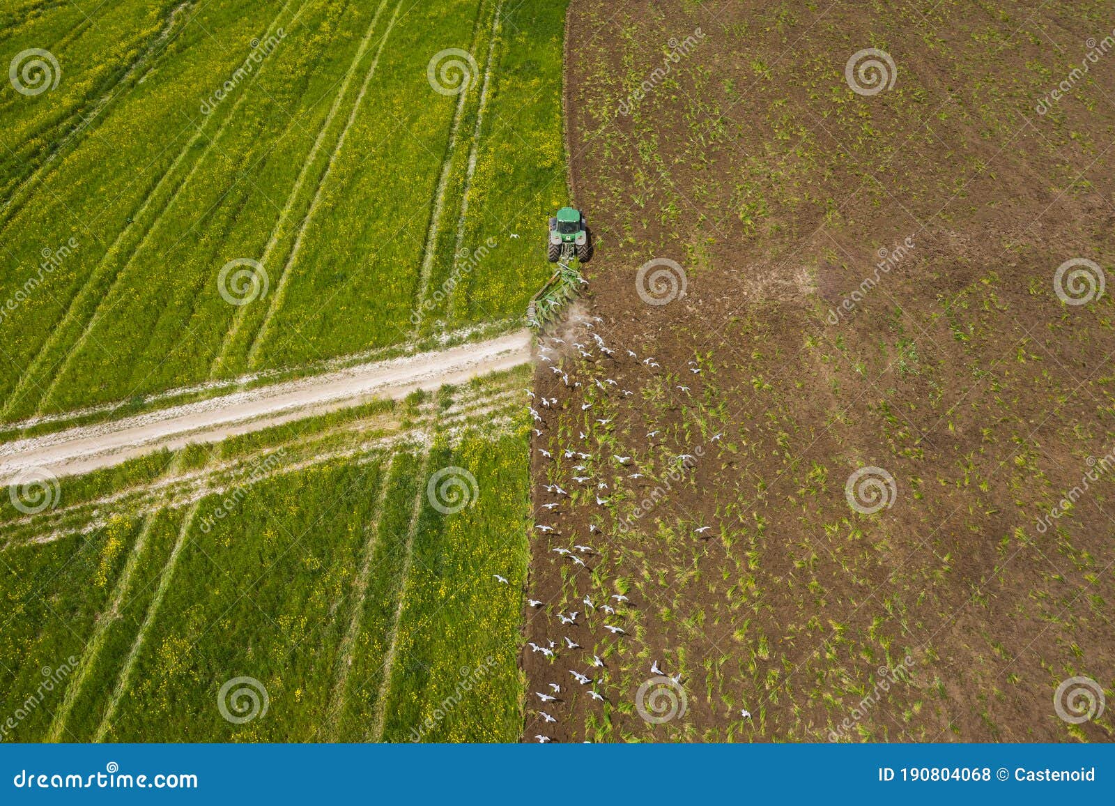 Aerial: the Tractor Harvester on the Field Stock Photo - Image of ...
