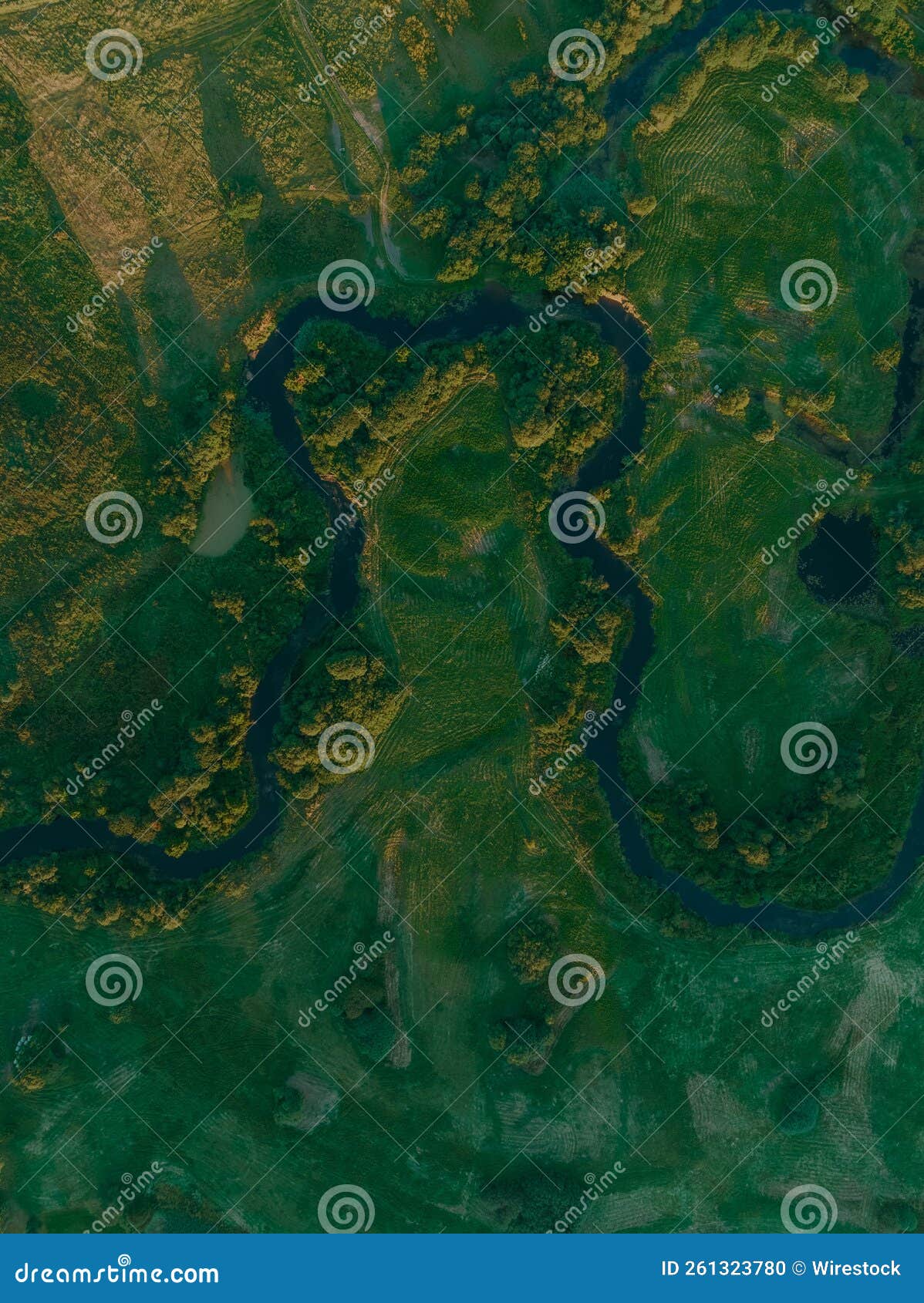 Aerial Vertical View of a Curvy River through the Green Forested Valley ...