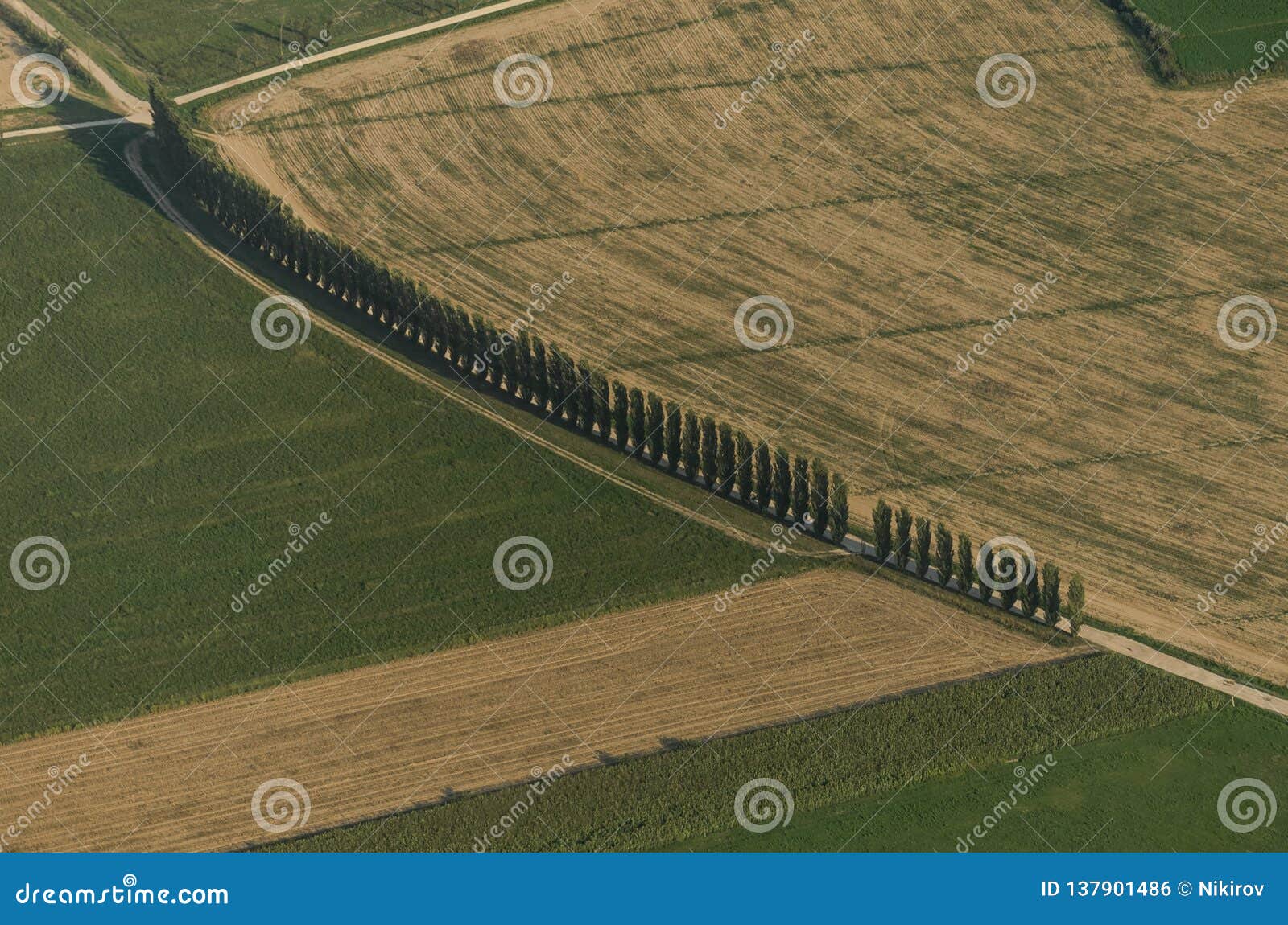 Aerial View from Above of a Birds-eye on the Field Stock Photo - Image ...
