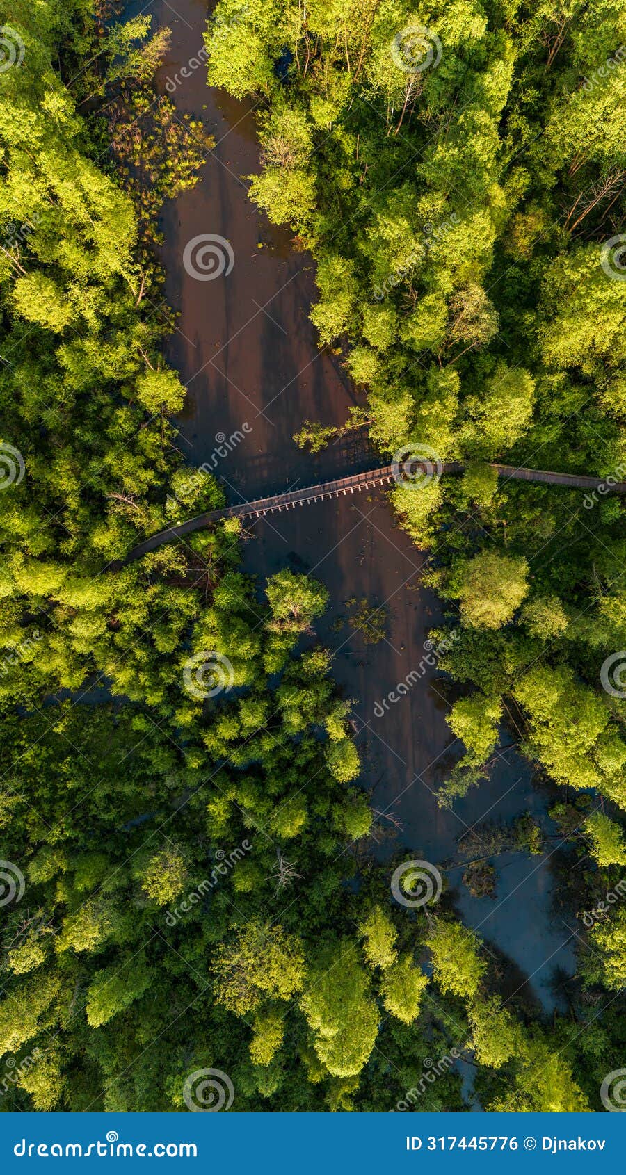 Aerial View from Above of Swamps in Poland Stock Photo - Image of road ...