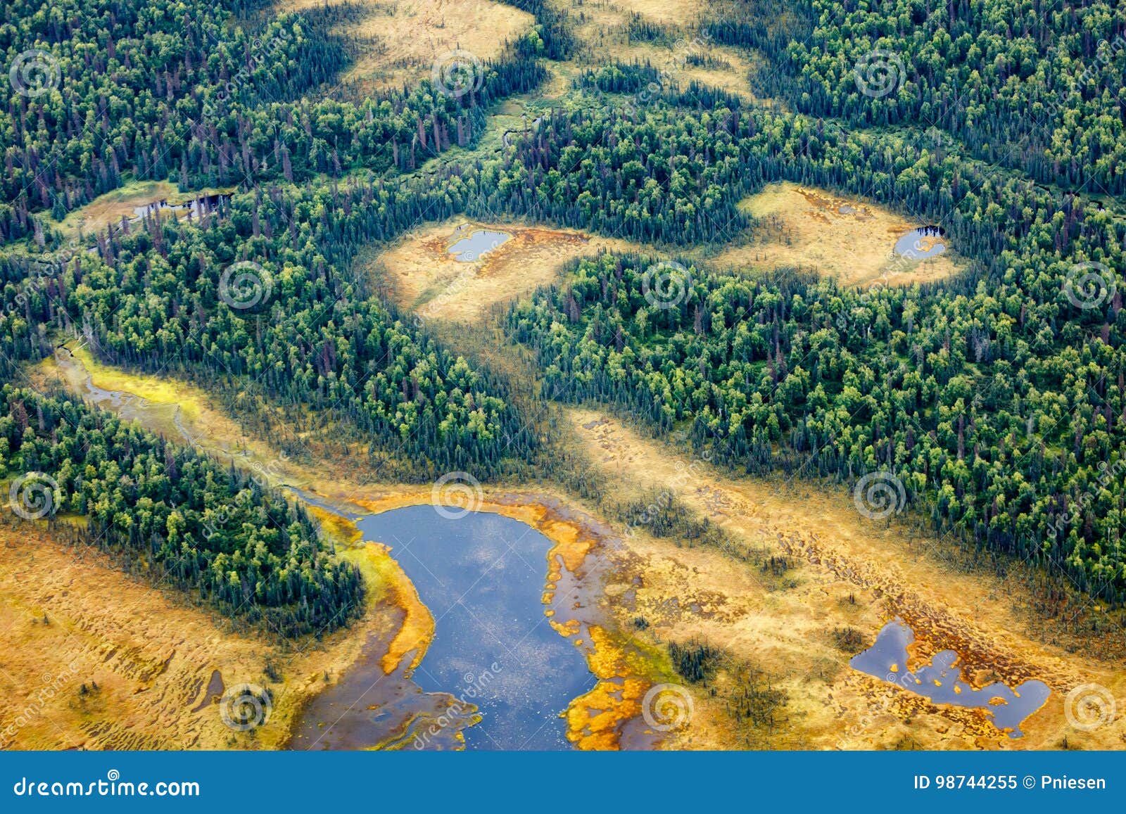 Aerial View and Abstract Patterns of Lake in a Taiga Forest Stock Image ...