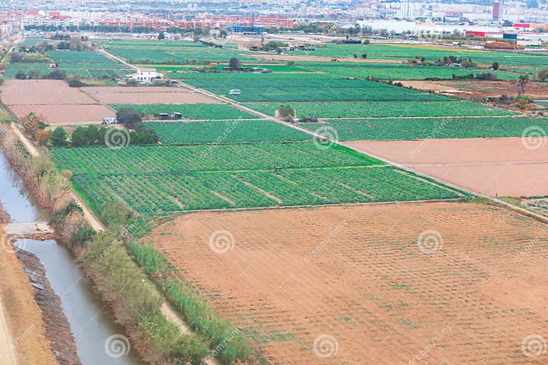 Aerial View of Agricultural Area with Multiple Rectangular Fields Stock ...
