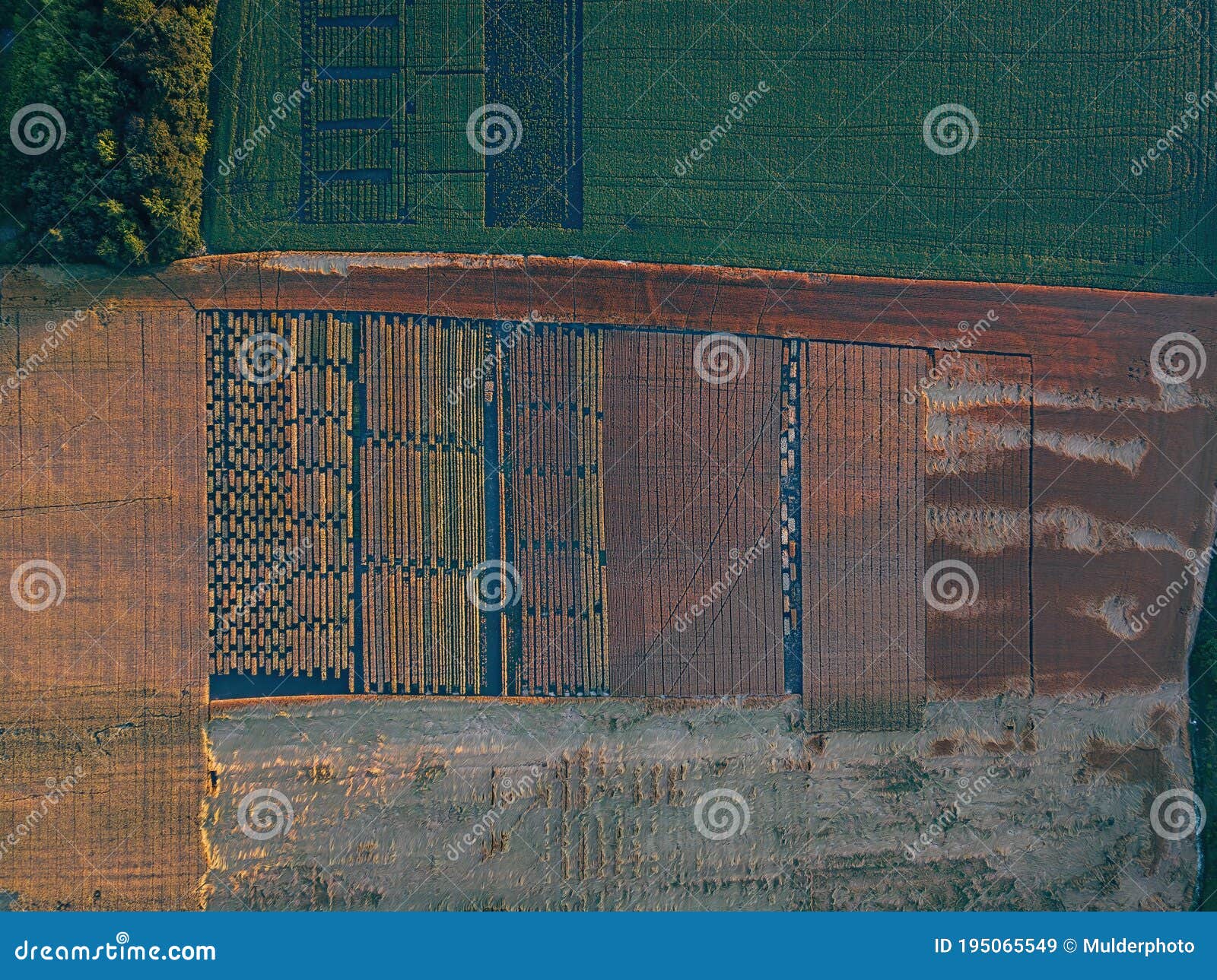 Aerial View of Agricultural Fields Divided into Plots Stock Image ...