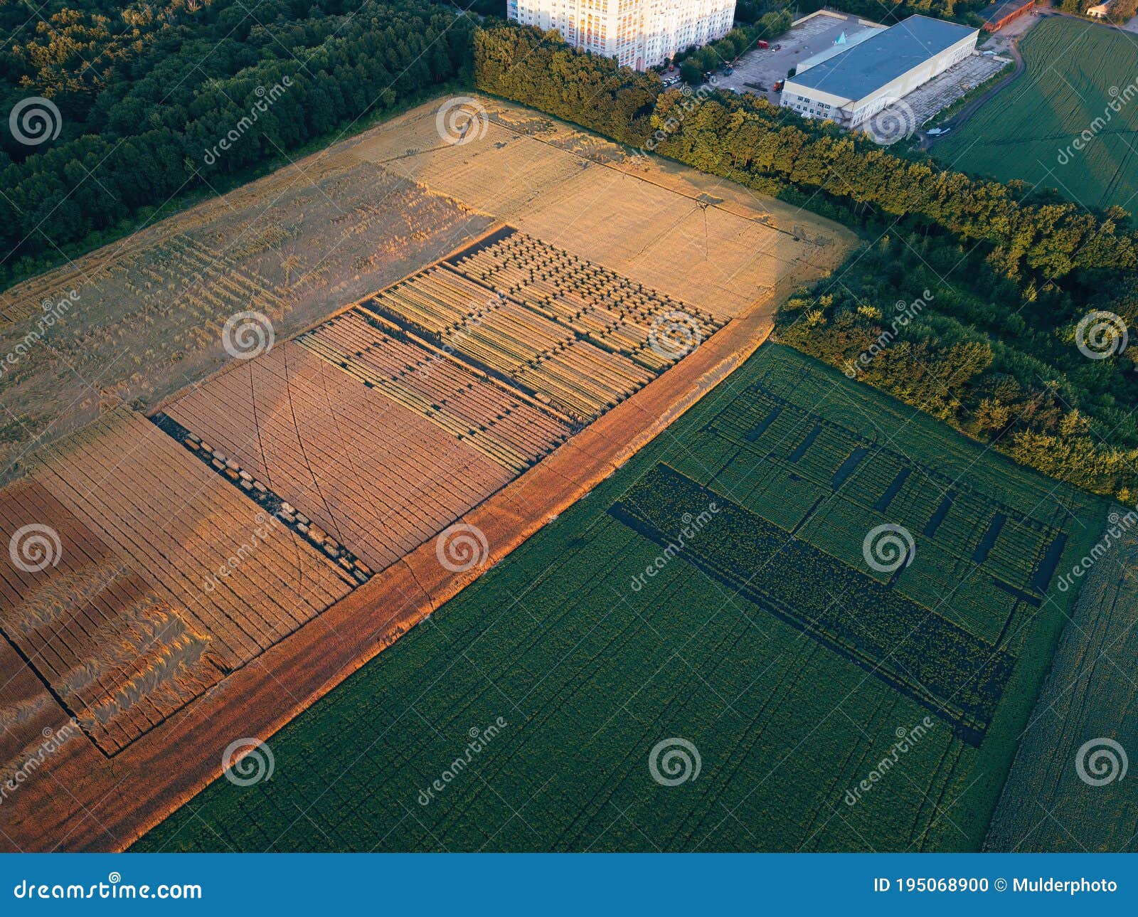 Aerial View of Agricultural Fields Divided into Plots Stock Photo ...