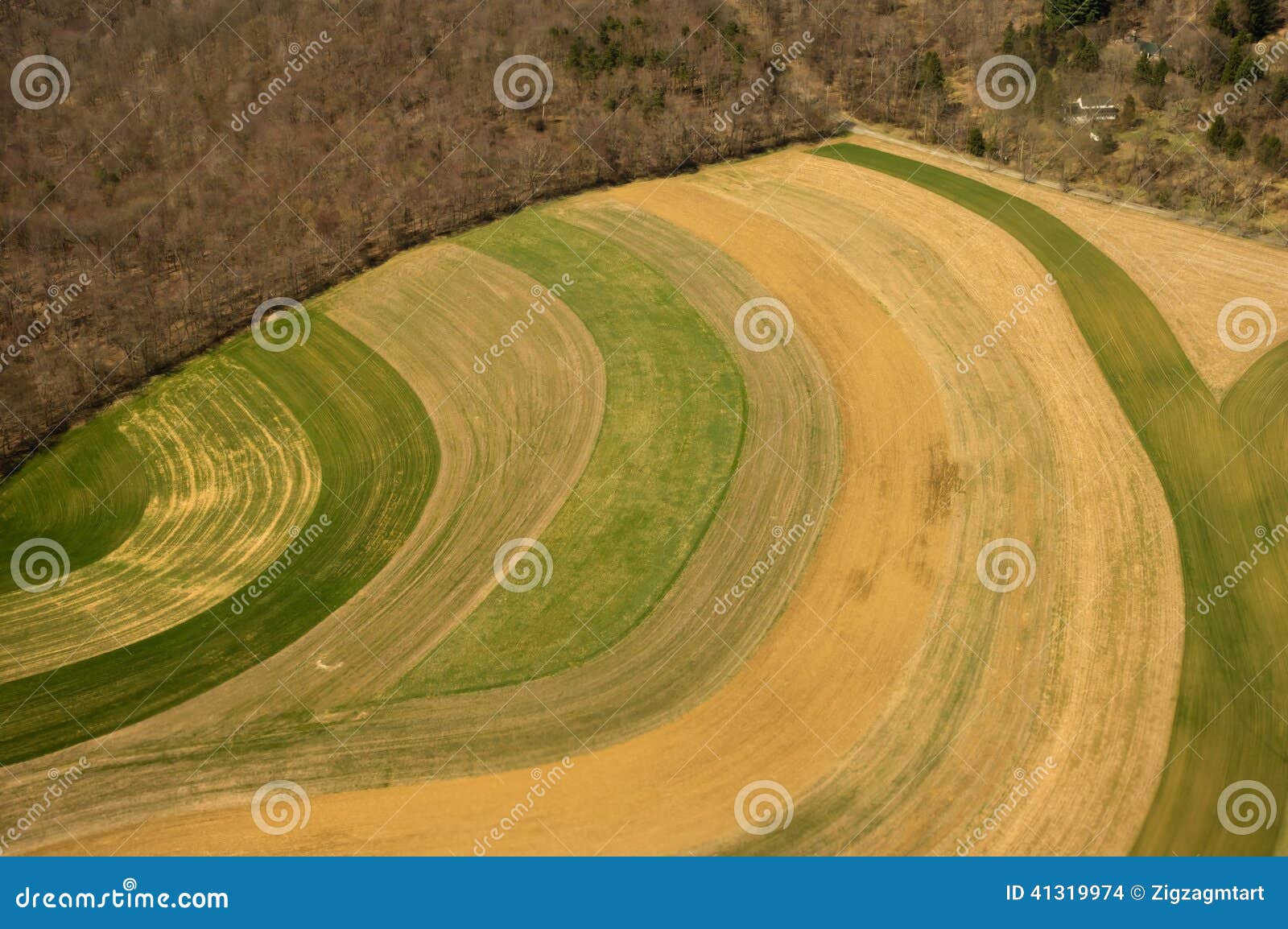 Aerial View of Agricultural Fields Stock Photo - Image of farm ...