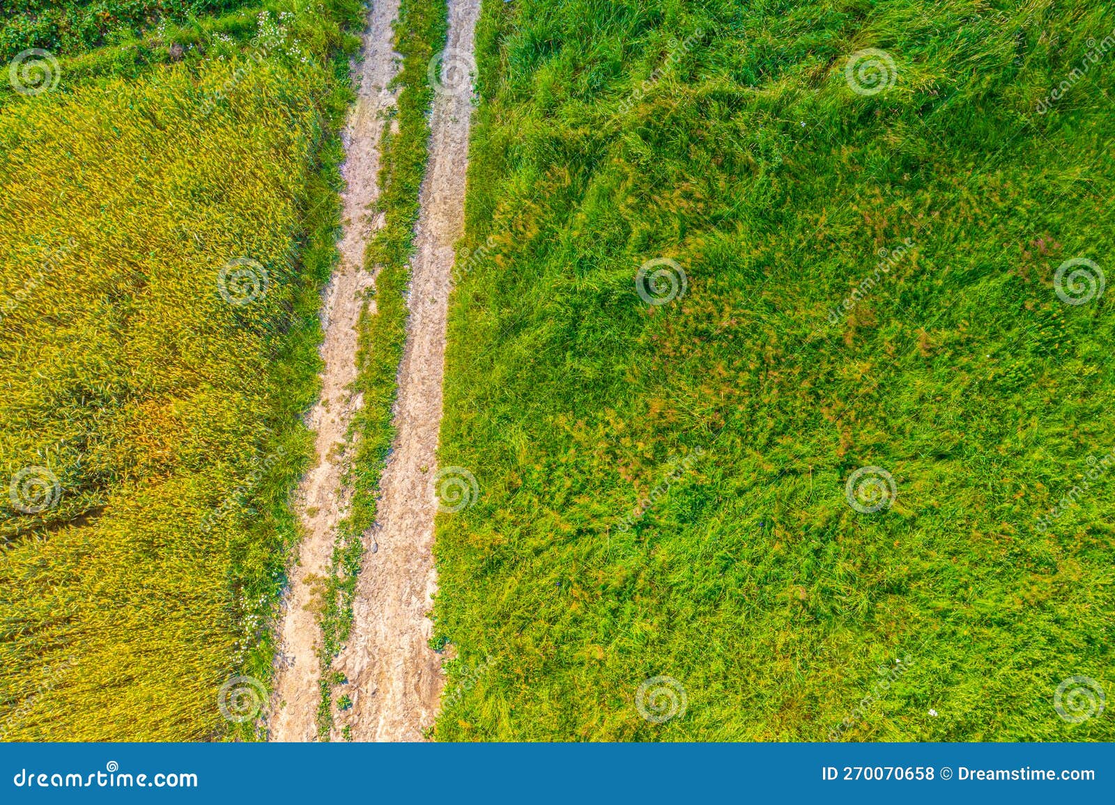 Aerial View of Agriculture Fields and Road . Arable Land View from ...