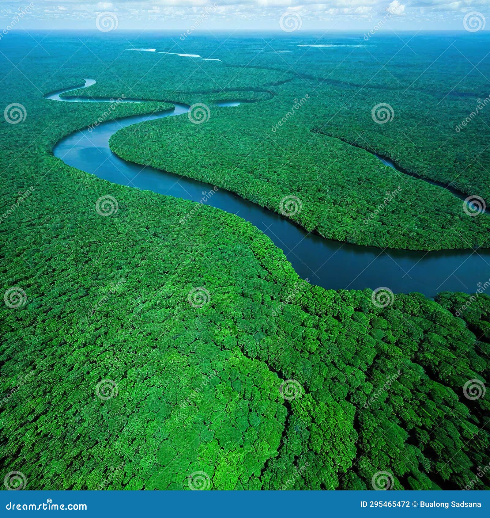Amazonia Map Made With Ecological Symbols Stock Photo | CartoonDealer ...