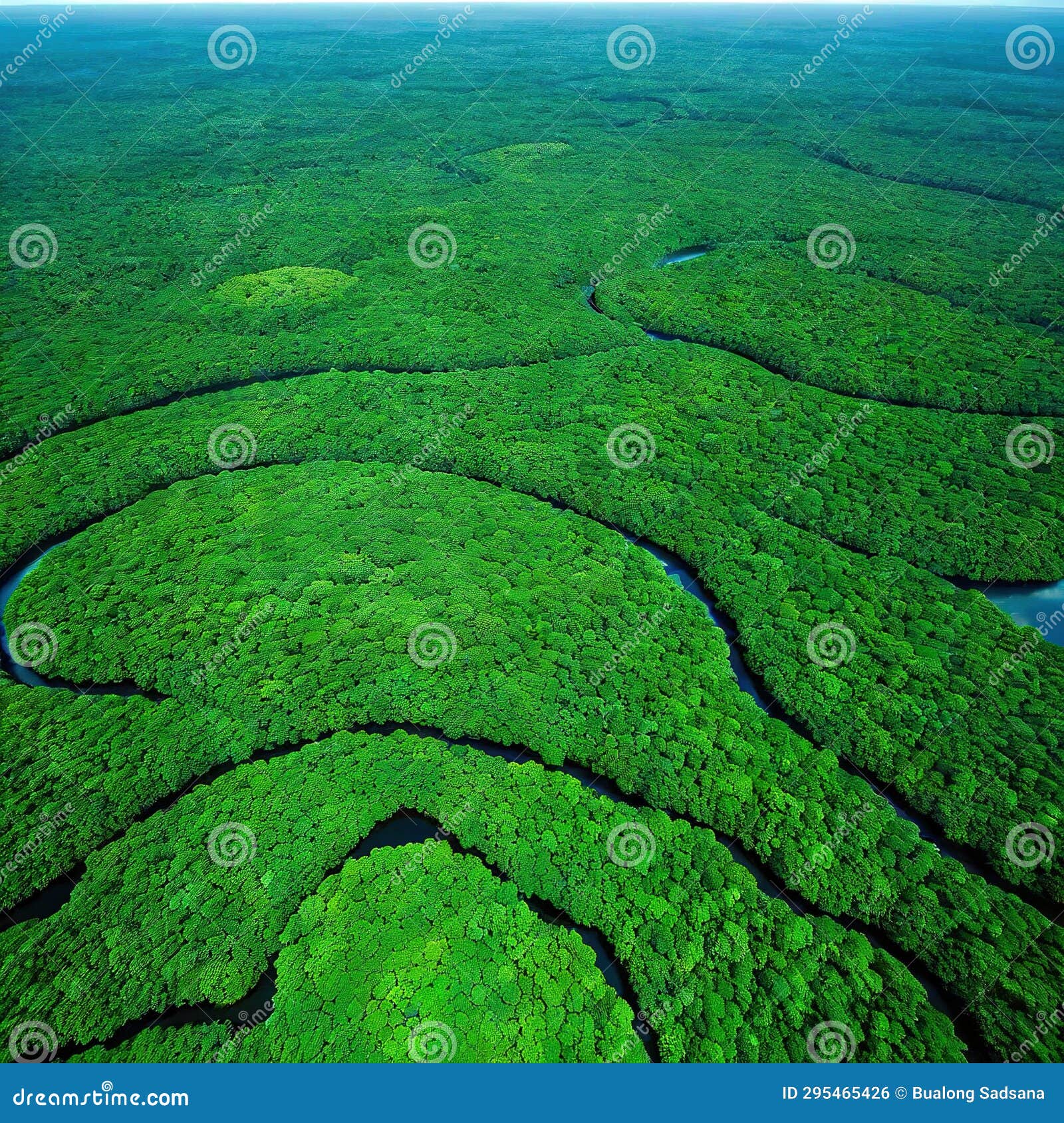 Aerial View of the Amazon stock illustration. Illustration of ...