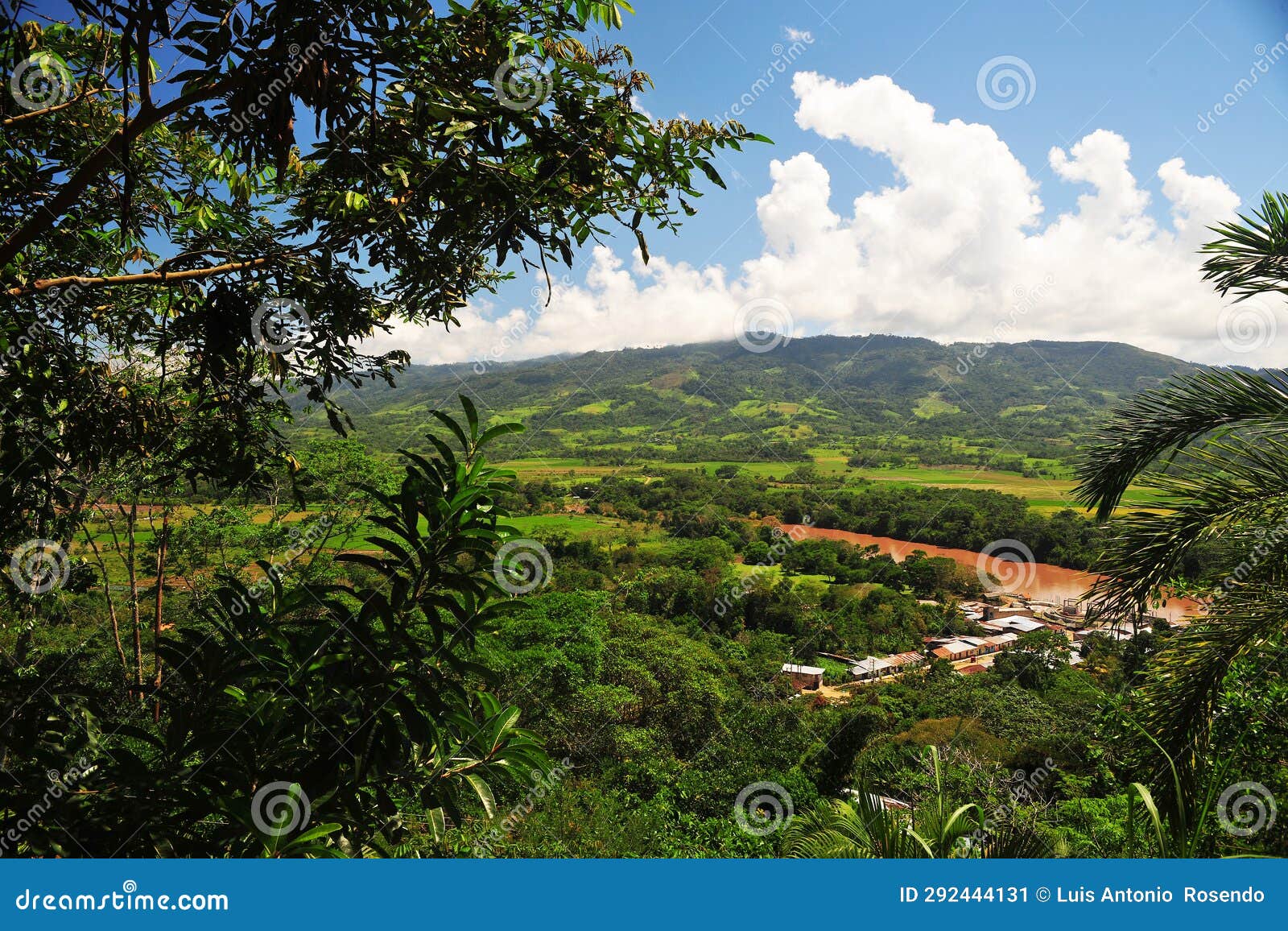View of the Amazon Rainforest with Trees and Flowers Blue Sky Peru ...
