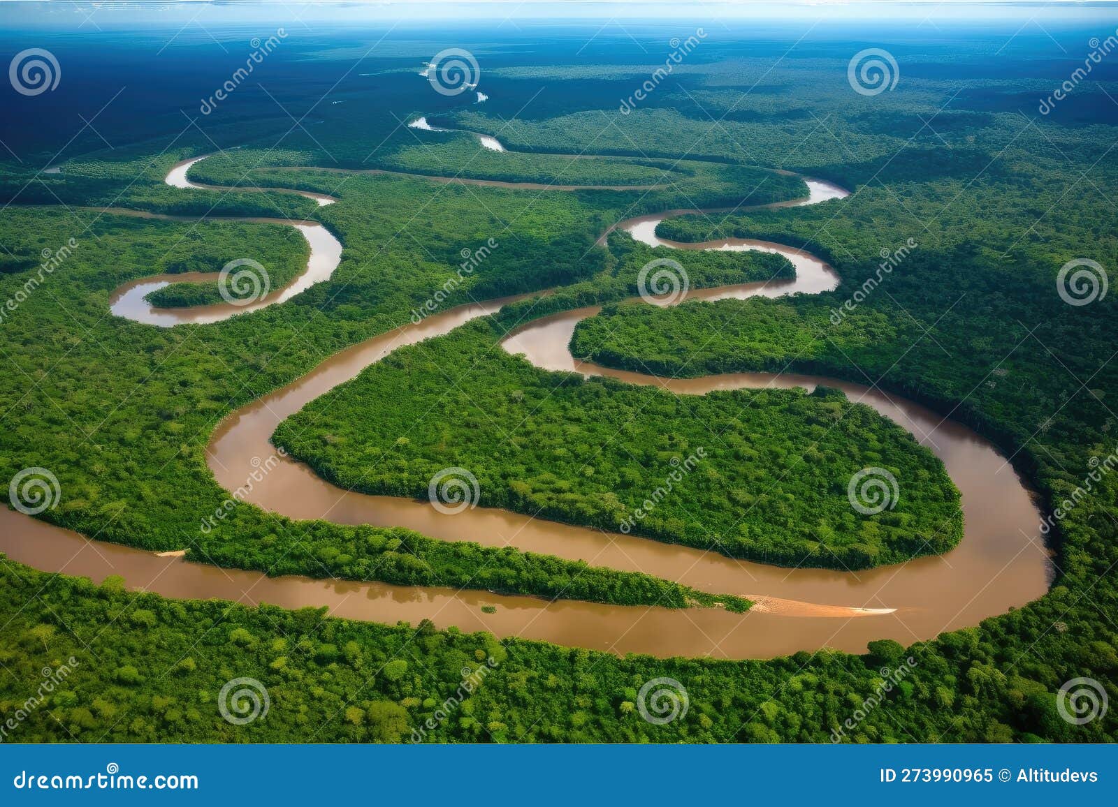 Aerial View of the Amazonas, with Dense Rainforest and Winding Rivers ...
