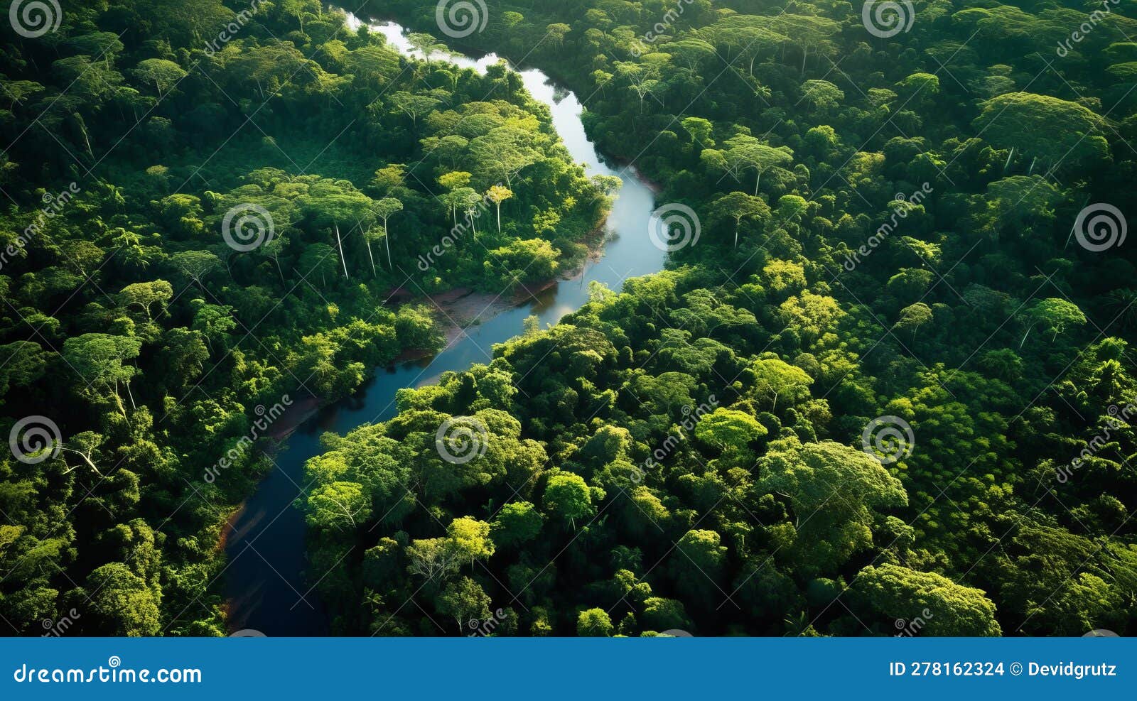 Aerial View of the Amazons Jungle Landscape. Generative AI Stock ...