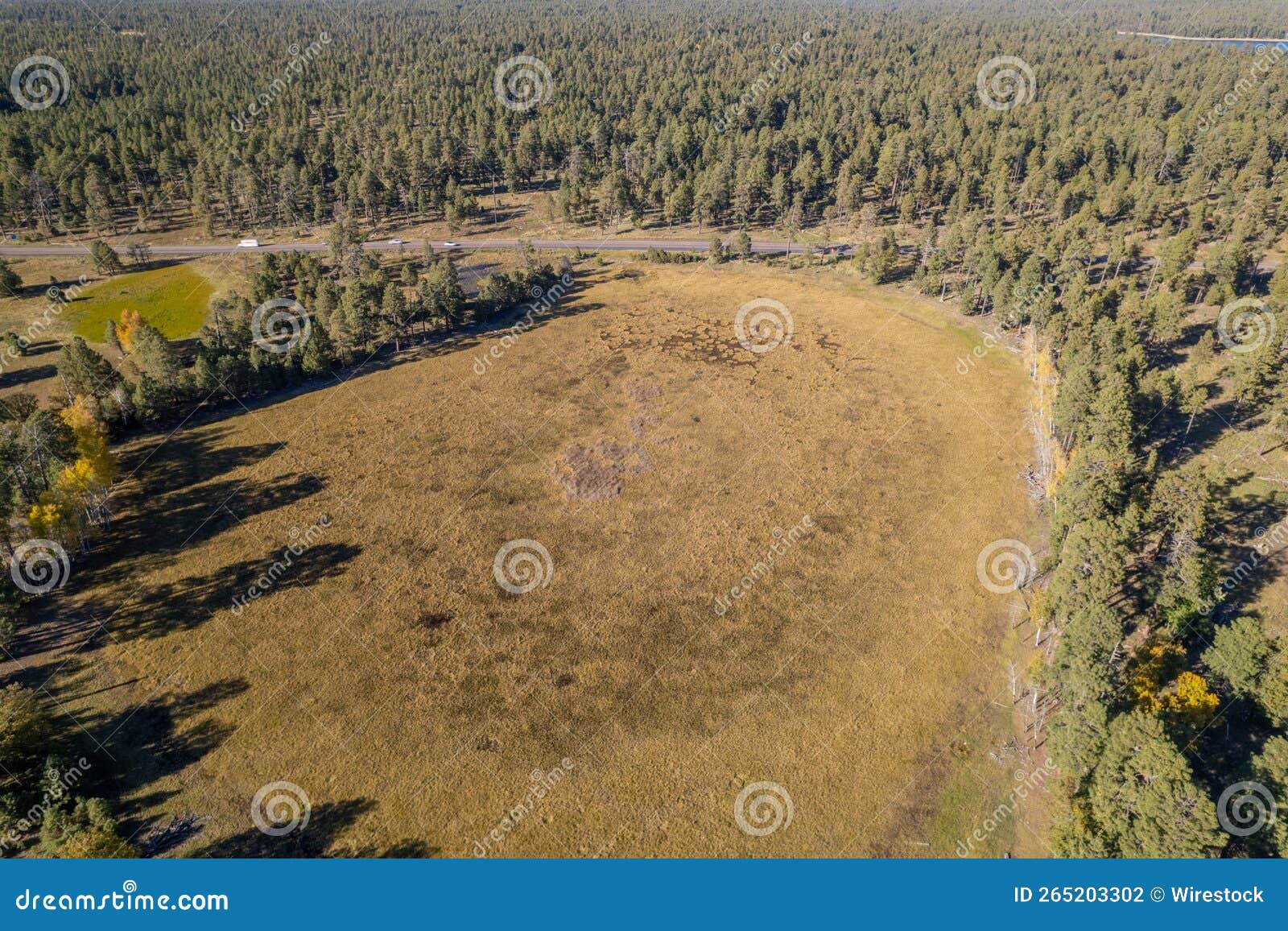 Aerial View of Apache Sitgreaves National Forest Stock Photo - Image of ...