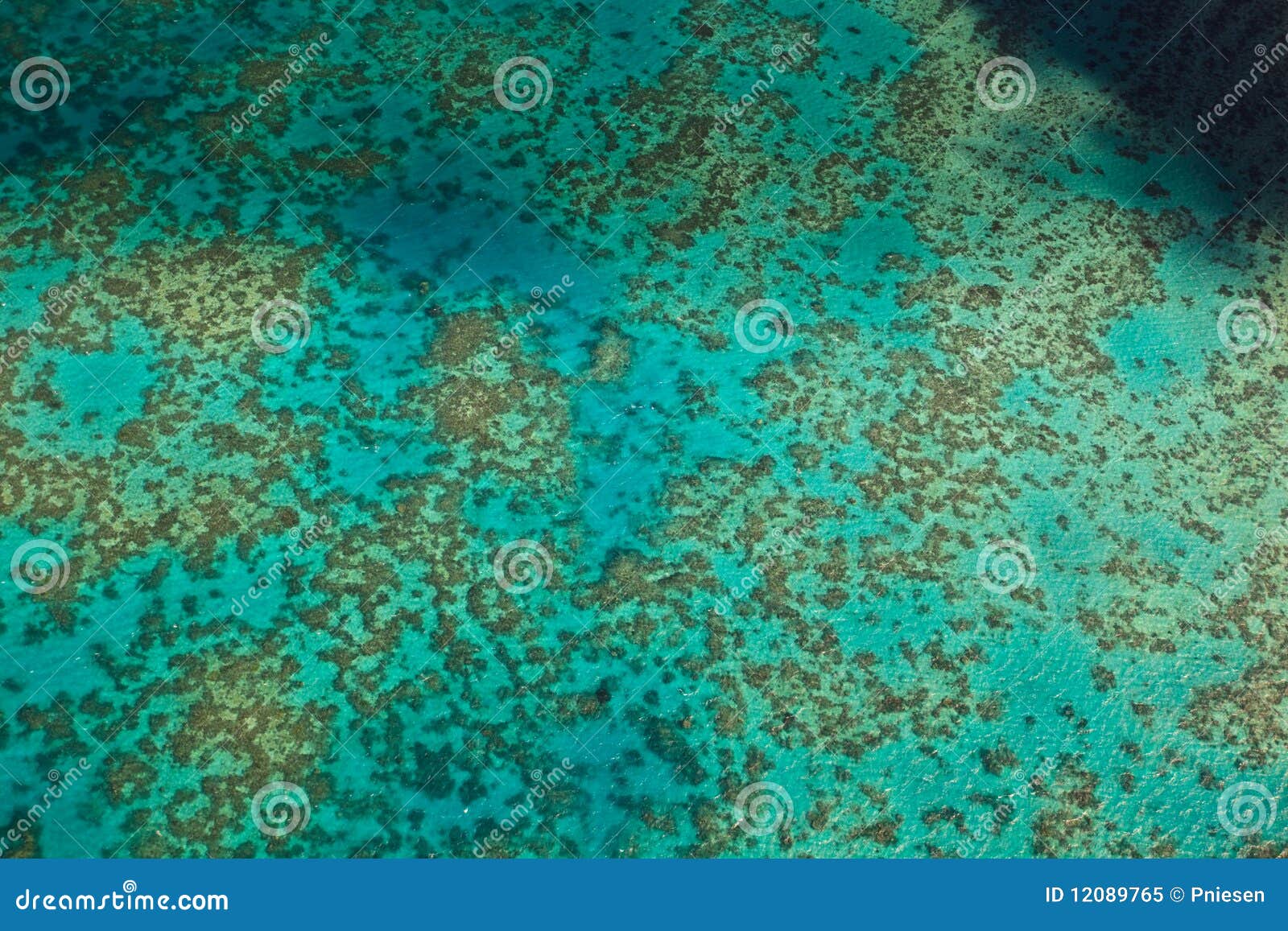 Aerial View of Arlington Reef at GBR Australia Stock Image - Image of ...