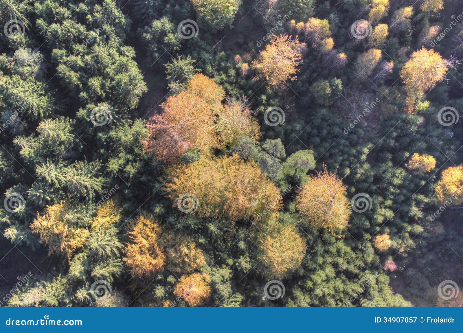 Aerial View of Autumn Forest Stock Image - Image of mountain, fall ...