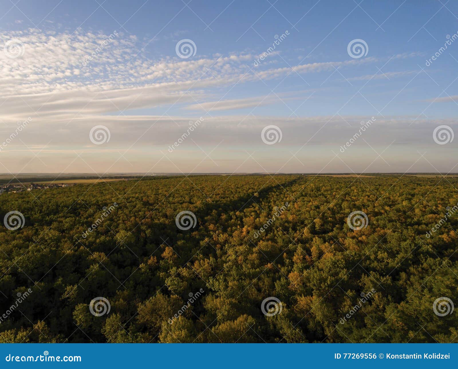 Aerial View of Autumn Forest. Stock Photo - Image of autumn, season ...