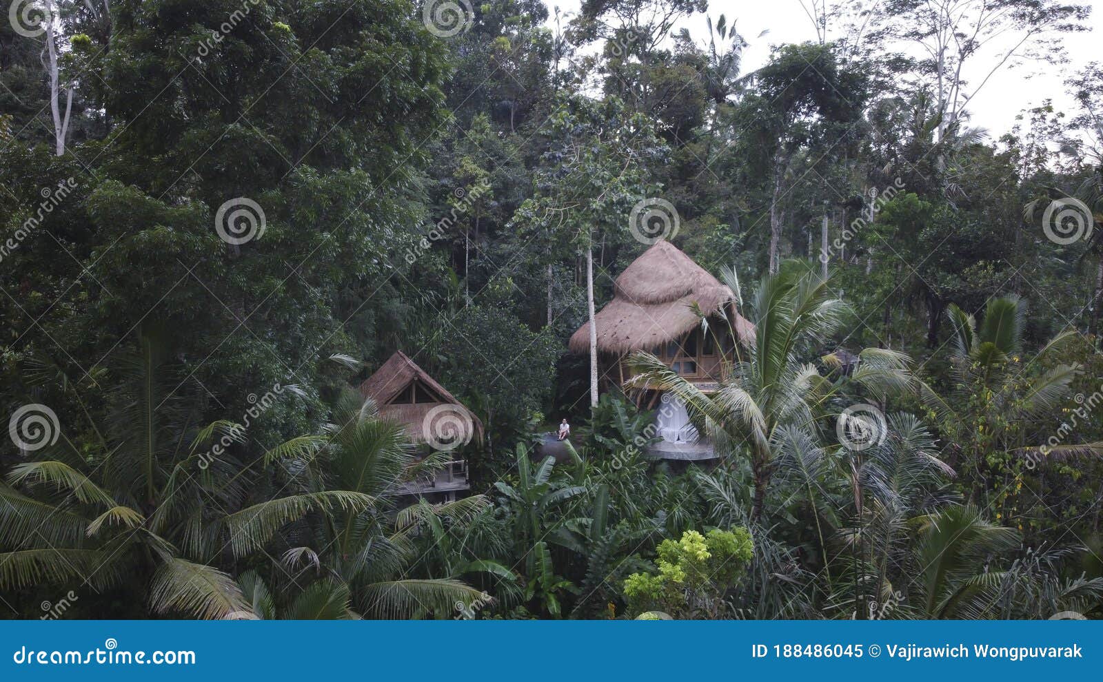 Aerial View of Bamboo Tree House in Tropical Forest. Stock Image ... Aerial View of Bamboo Tree House in Tropical Forest. Stock Image ...